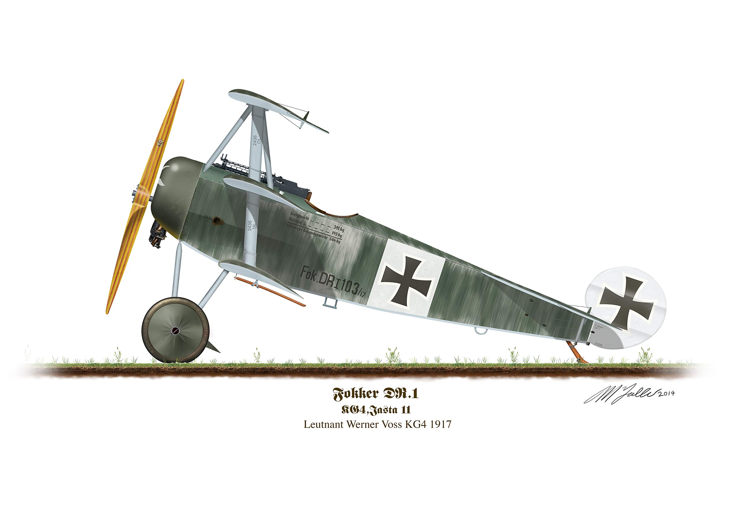 Profile Artwork Fokker Dr1 Triplane Vintage German Aircraft 1917 Werner ...