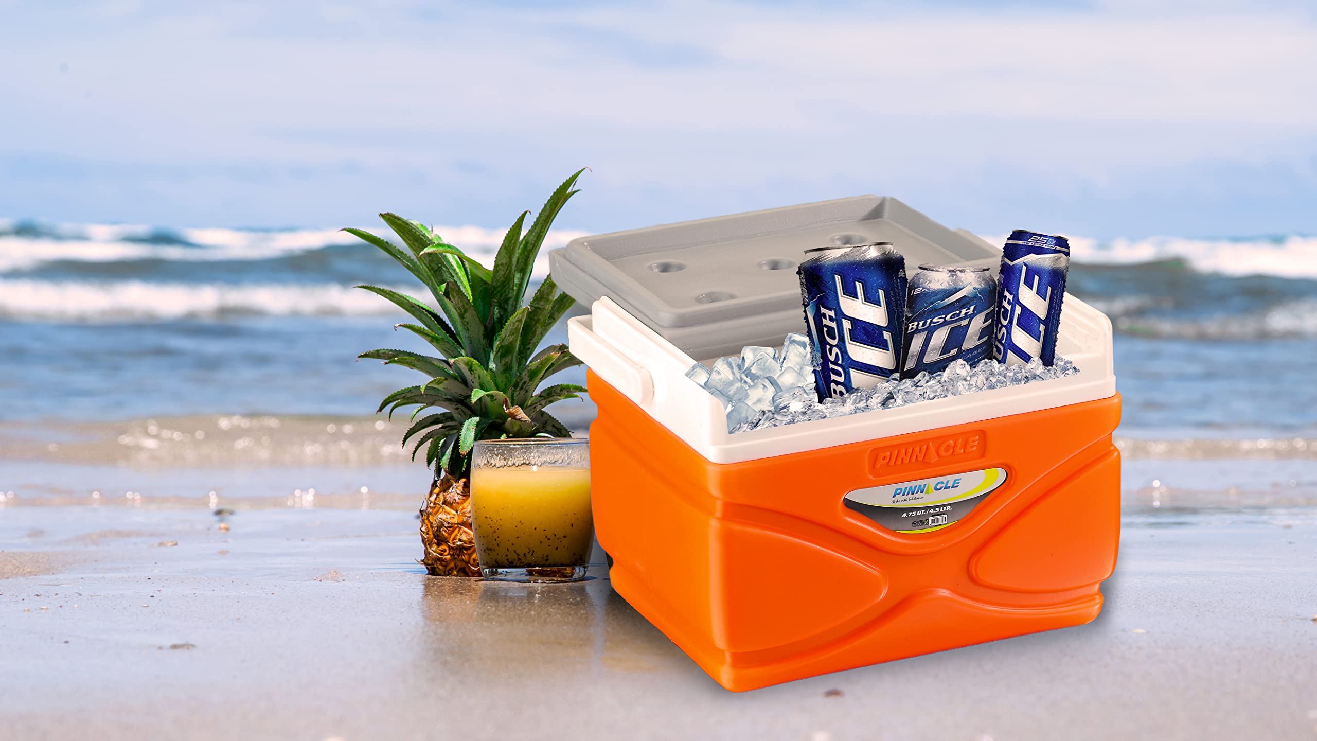 Snapklik.com : Pinnacle 4.5-11 Liter Insulated Cooler Lunch Box Set ...