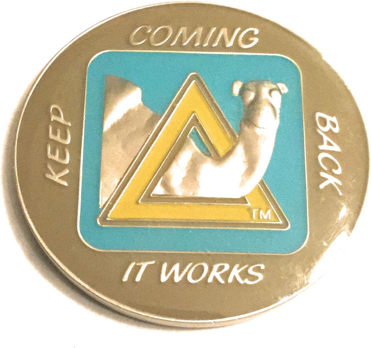 Amazon.com: Recovery Line Keep Coming Back Camel AA Alcoholics ...