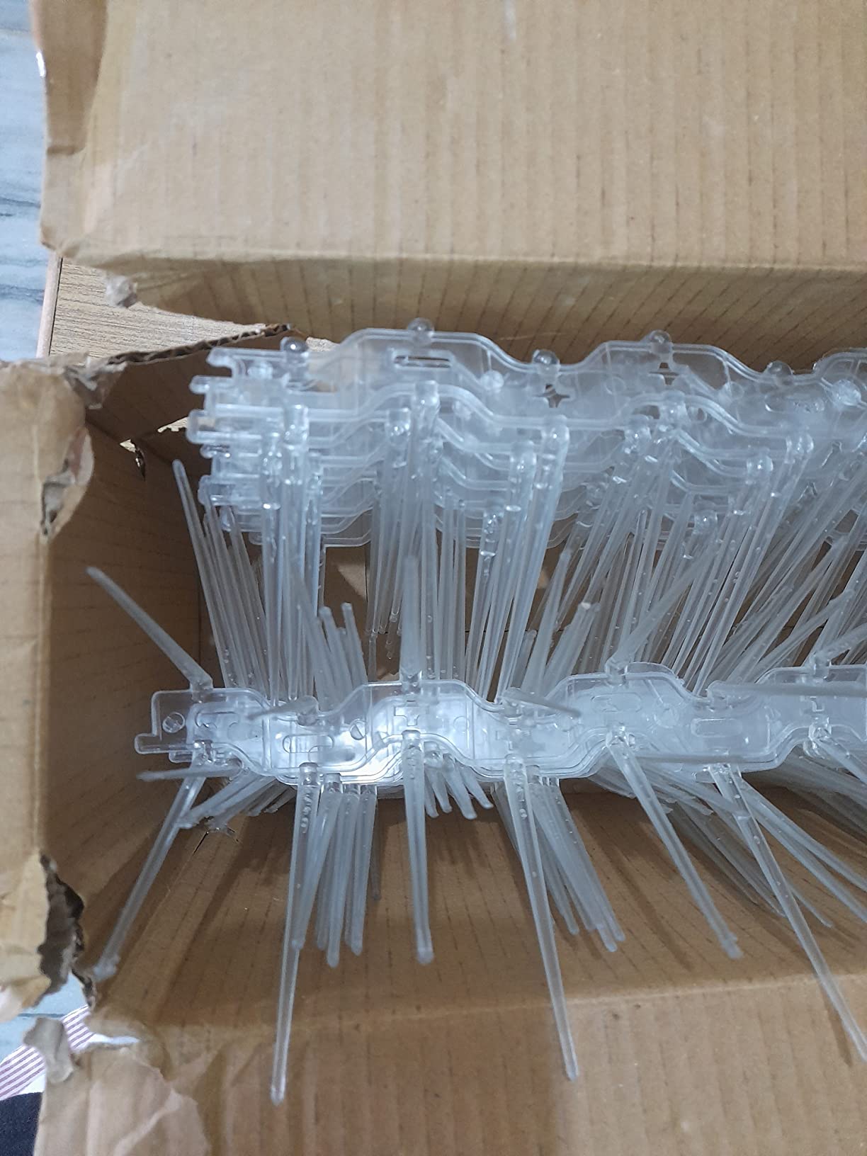 SPIKEZONE - Bird Spikes for Bird & Pigeon, Polycarbonate Bird/Pigeon ...