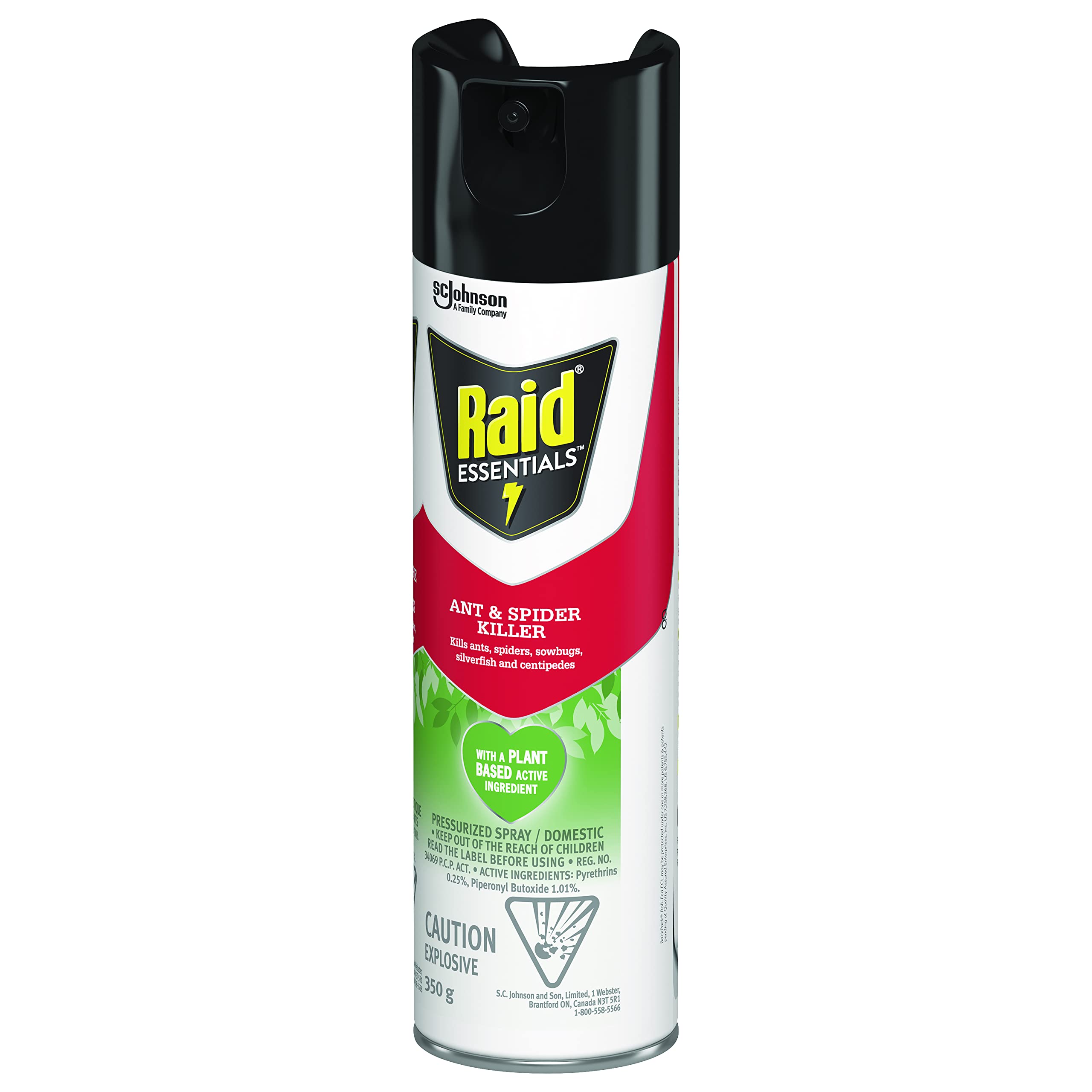 Raid Aerosol Insecticide _ Raid Insecticide – FPVSGF