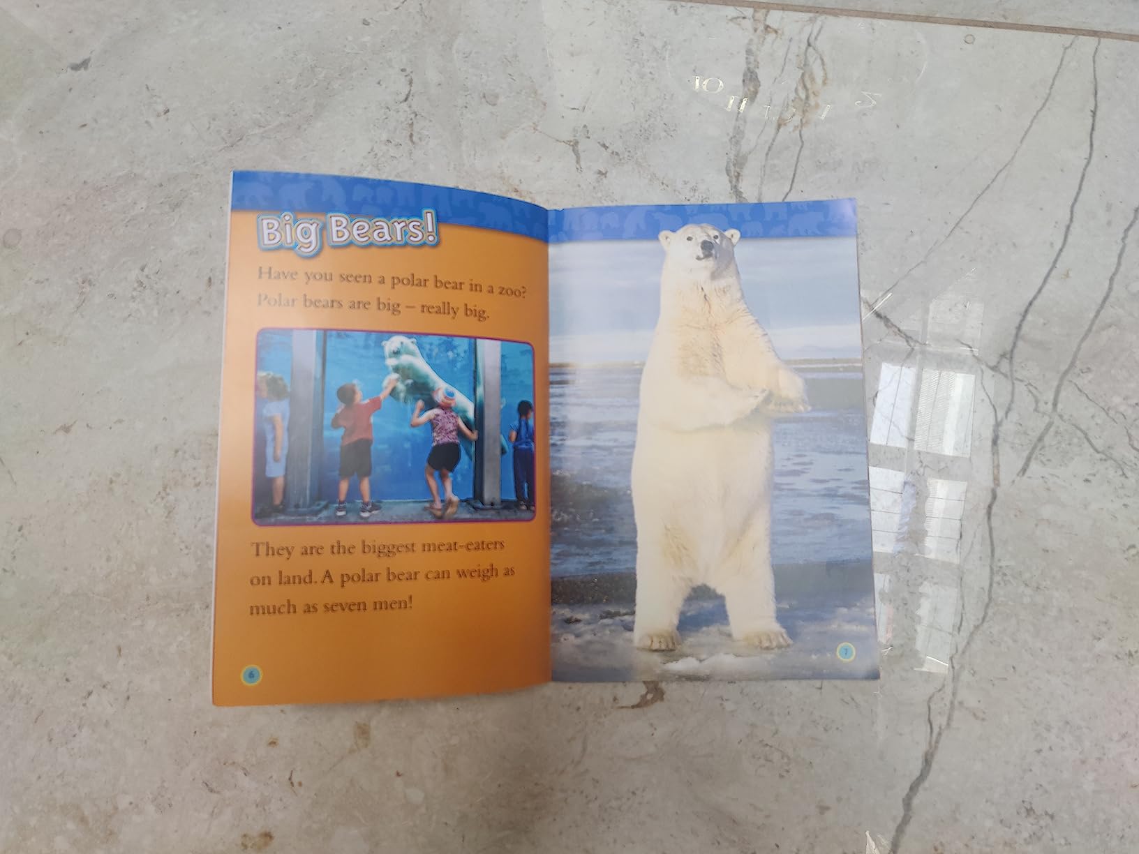 Polar Bears: Level 2 (National Geographic Readers) : Marsh, Laura ...