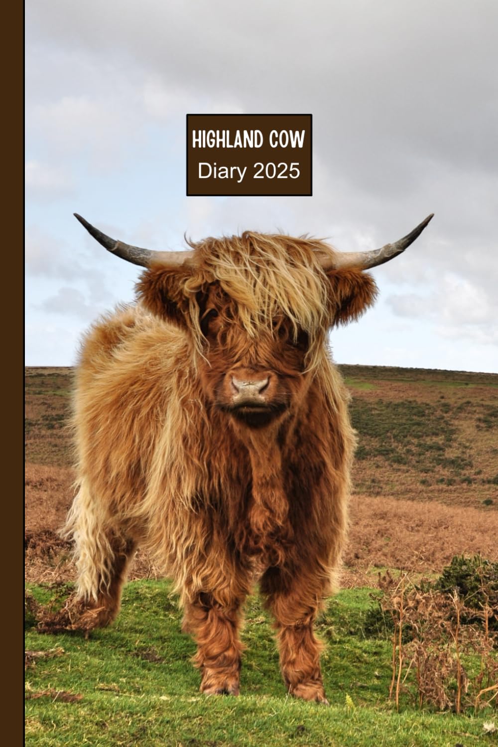 Amazon.com: Highland Cow Diary 2025: An awesome week to view Yearly ...