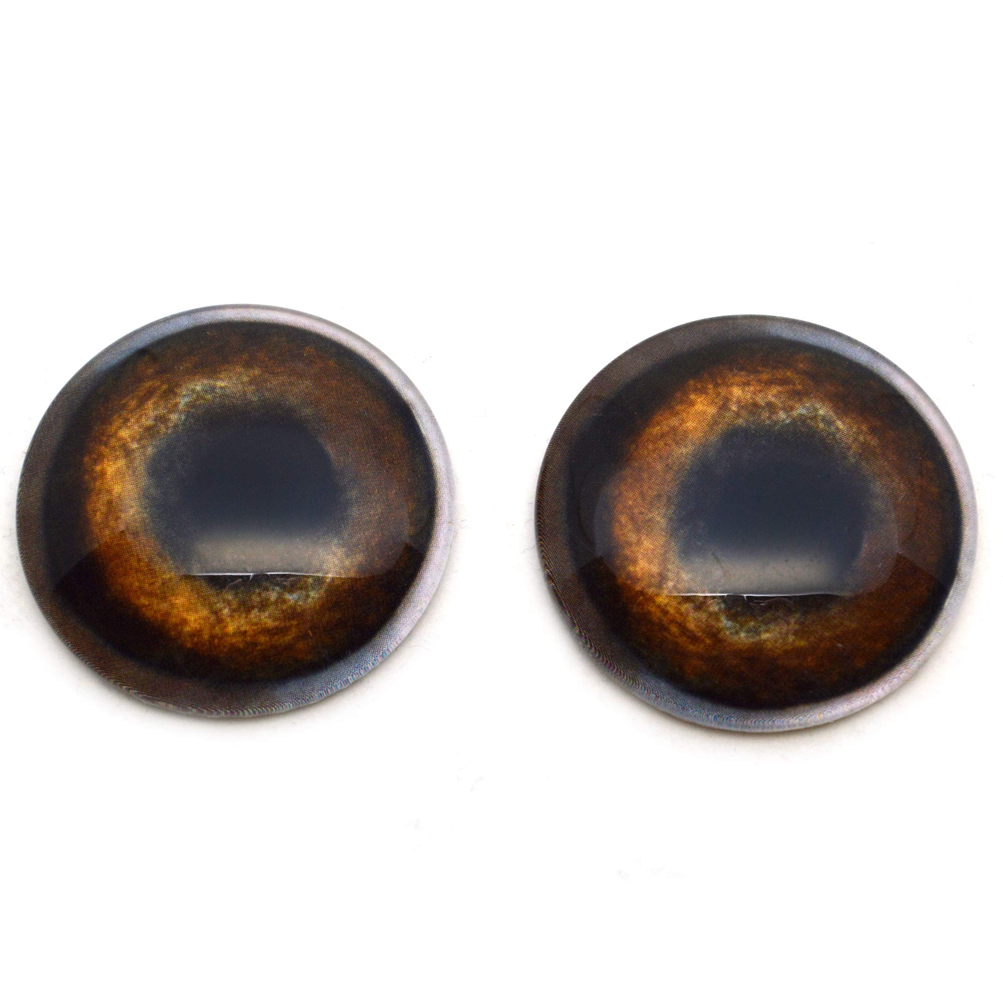 Amazon.com: Medium Brown Dog Glass Eyes Realistic Animal Pair for Puppy ...