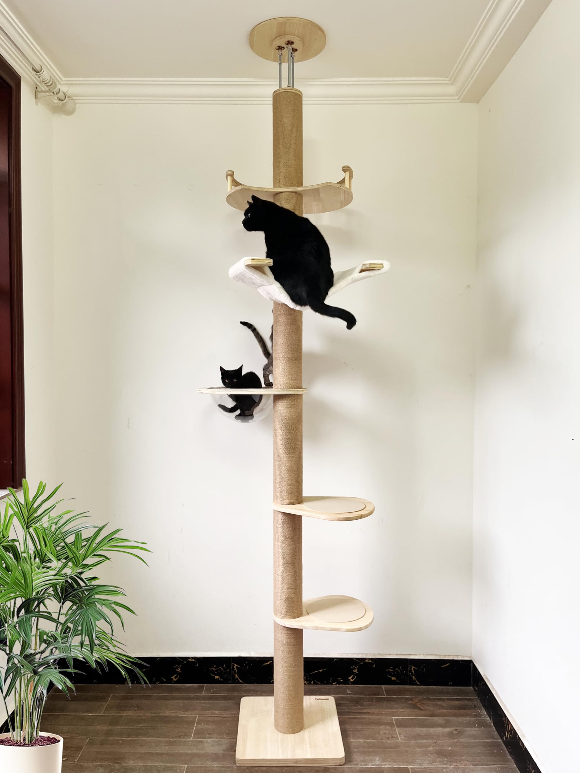 Multi-level Cat Condo With Scratching Posts Elegaif Floor To Ceiling ...