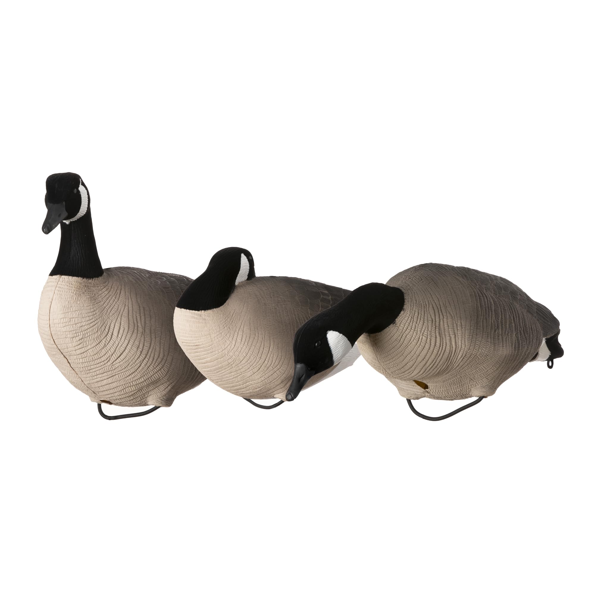SKYFALL DECOYS Canada Goose Decoys (6-Pack) - Hyper Realistic ...