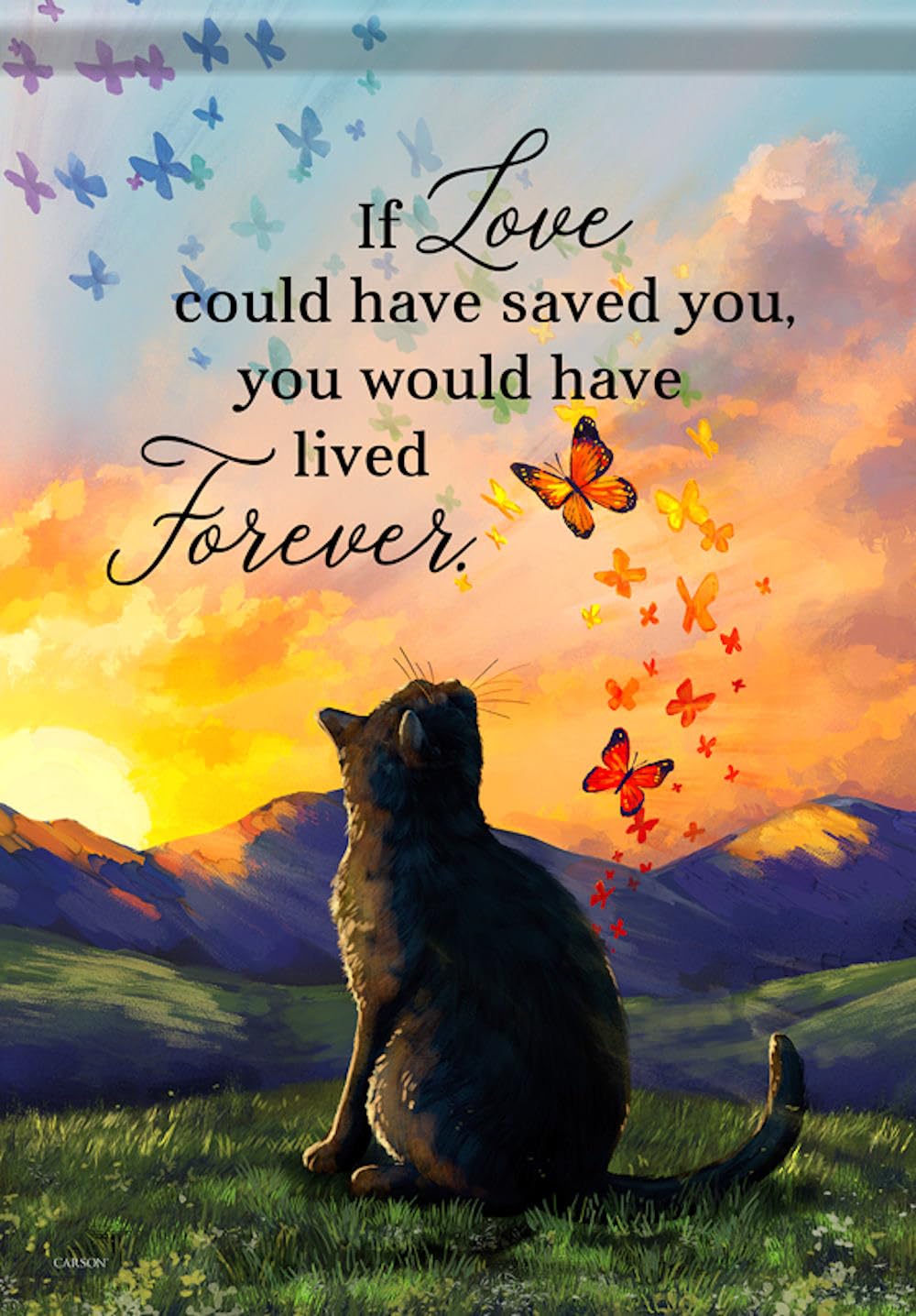 Amazon.com: The Bridge Collection 18" 'Lived Forever' Cat Loss Memorial ...