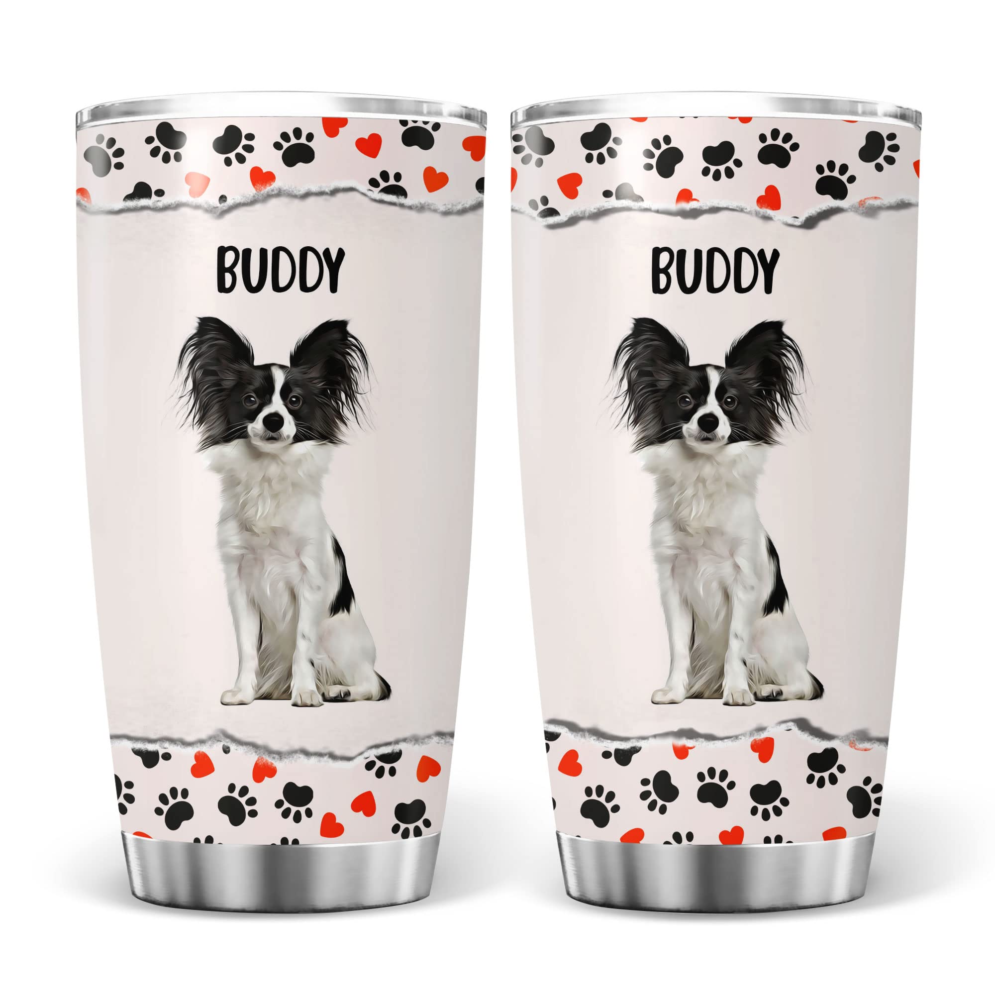 Can A Papillon And A Akita Be Friends