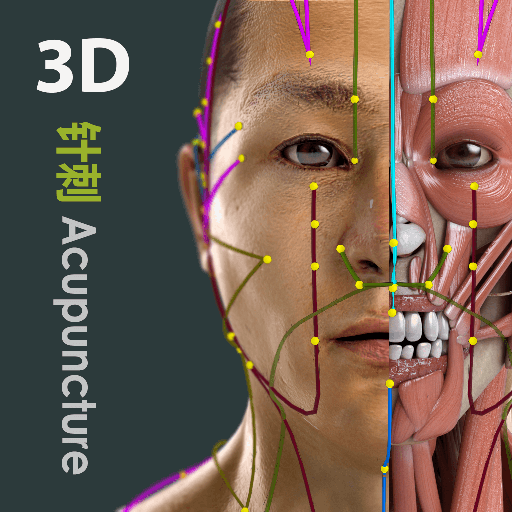 Visual Acupuncture 3D - Human - App on Amazon Appstore