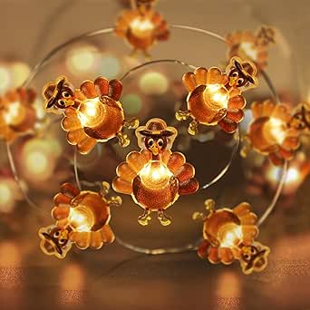 Amazon.com: [Timer] 2 Pack Thanksgiving Turkey String Lights ...