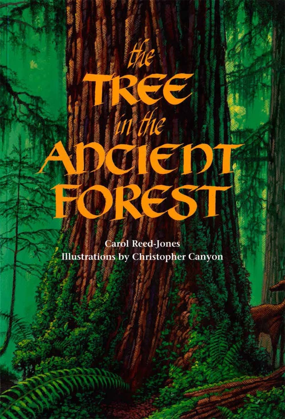 The Tree in the Ancient Forest: Reed-Jones, Carol, Canyon, Christopher ...
