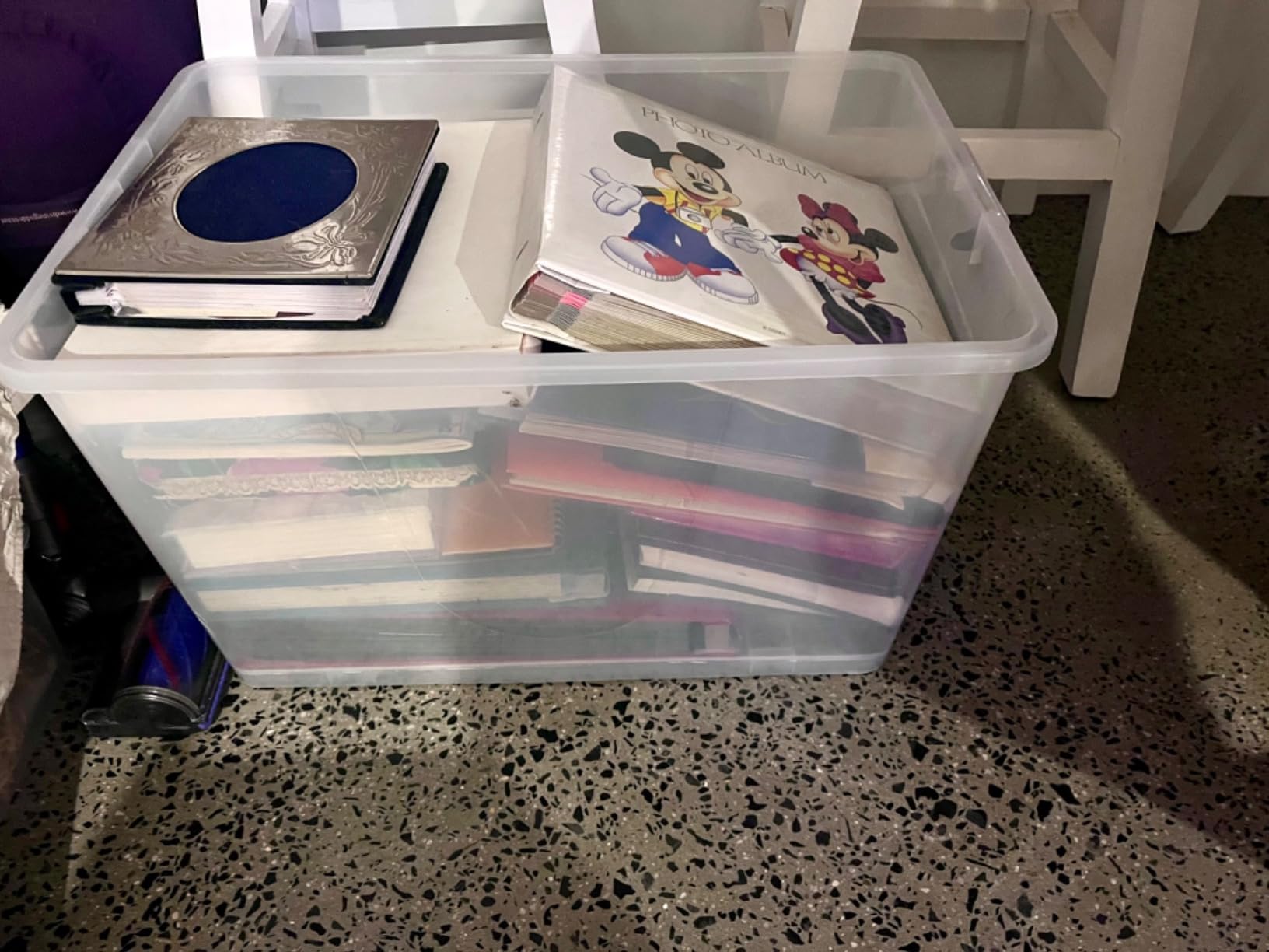 Lifewit Photo Storage Box 4x6 Photo Case, 18 Inner Photo Keeper, Clear ...