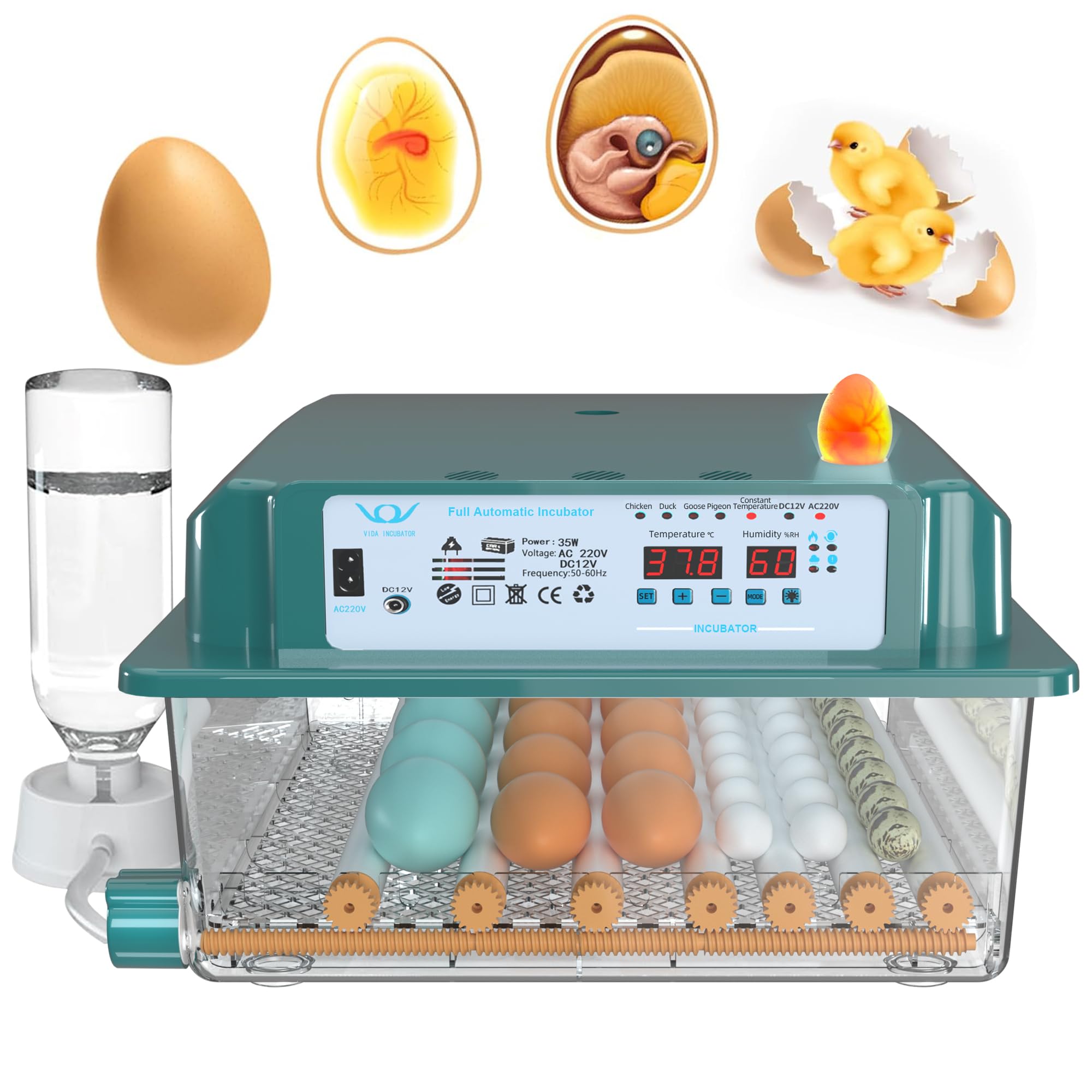 Choies 36 Egg Incubator,Incubators for Hatching Eggs with Automatic Egg ...