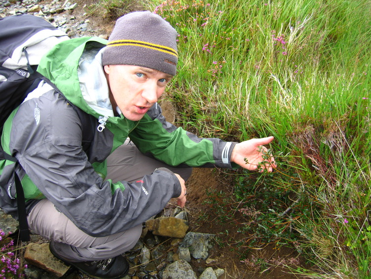 Amazon.co.uk: David Beerling: books, biography, latest update