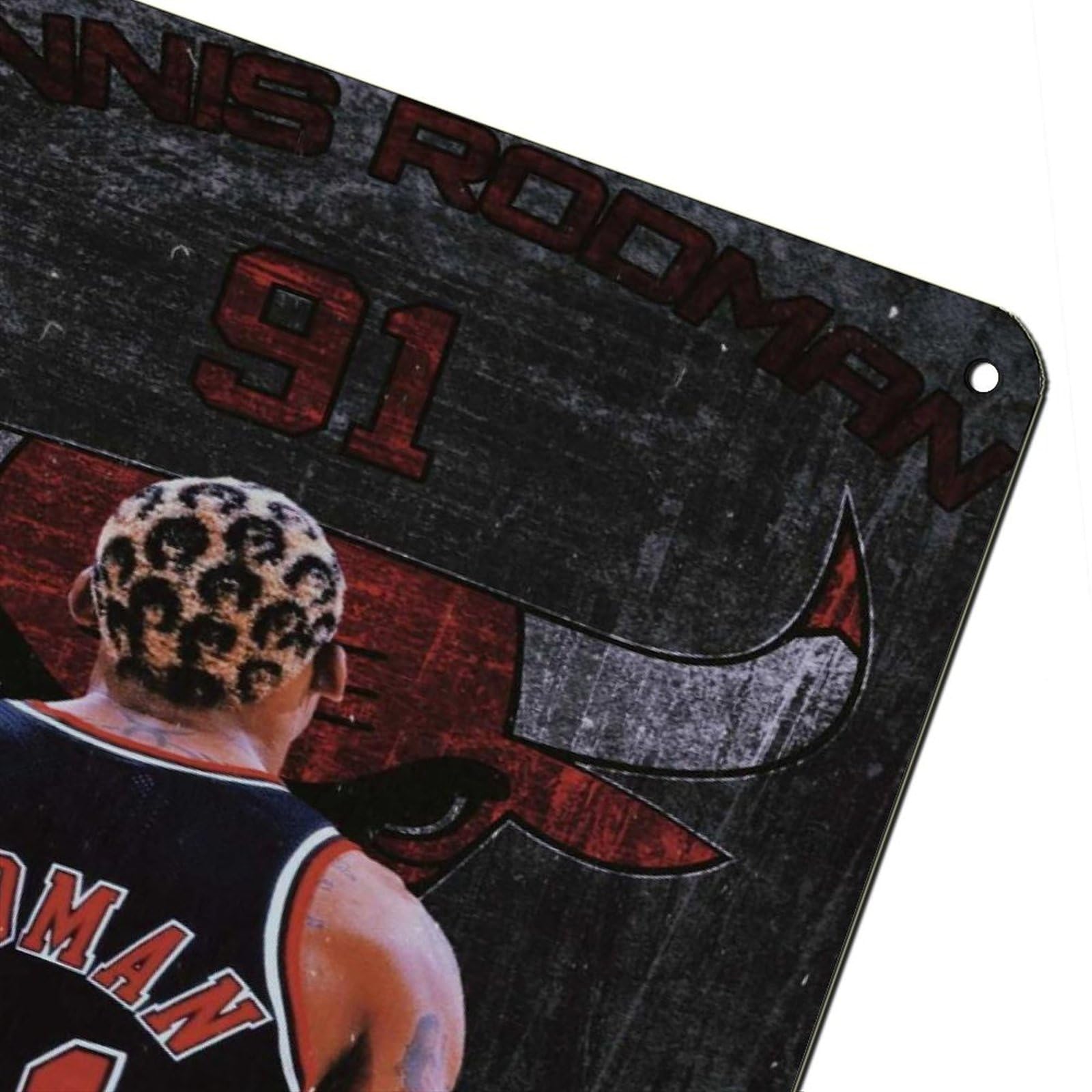 Dennis Rodman Poster