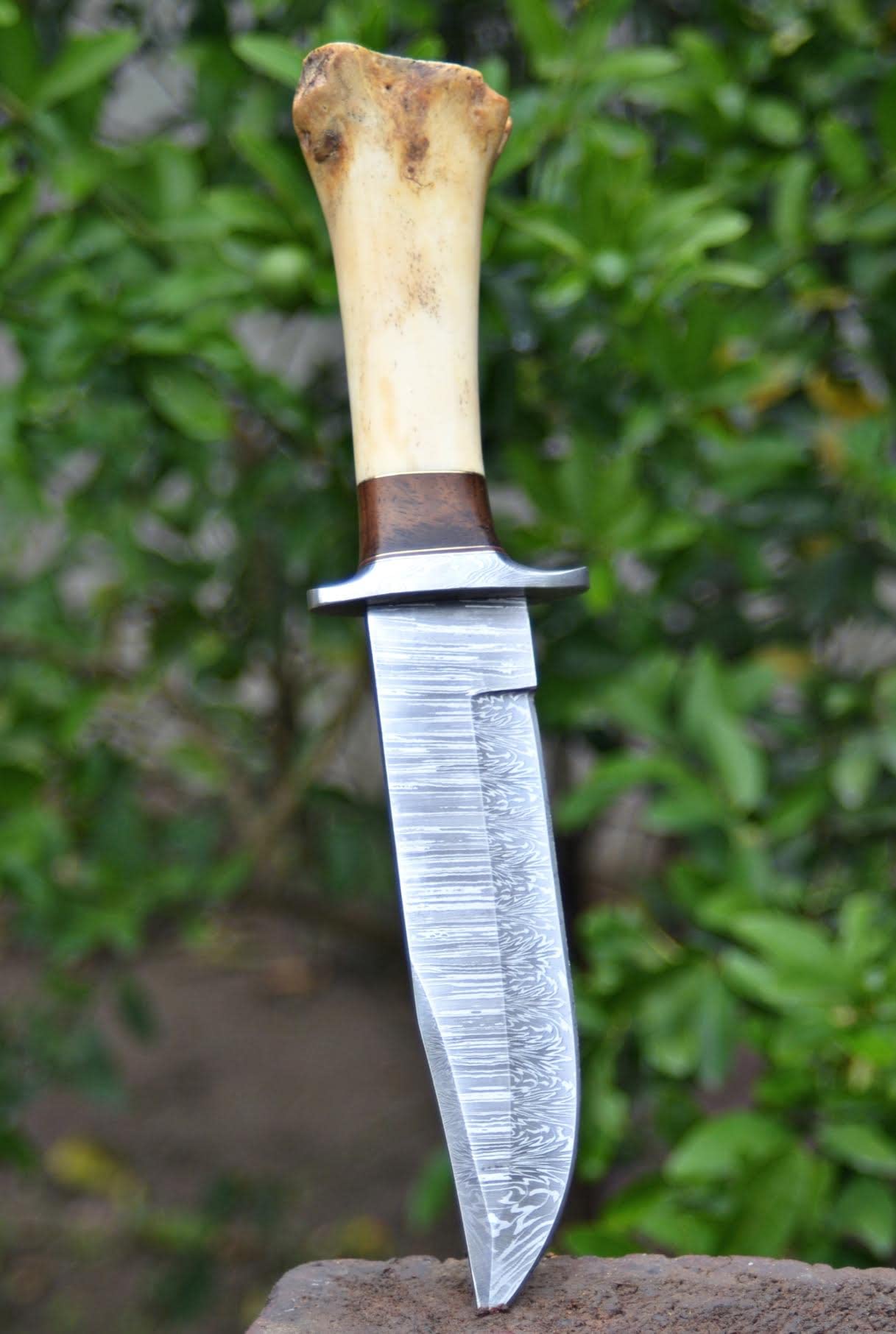 Damascus Hunting Knife Bone Handle