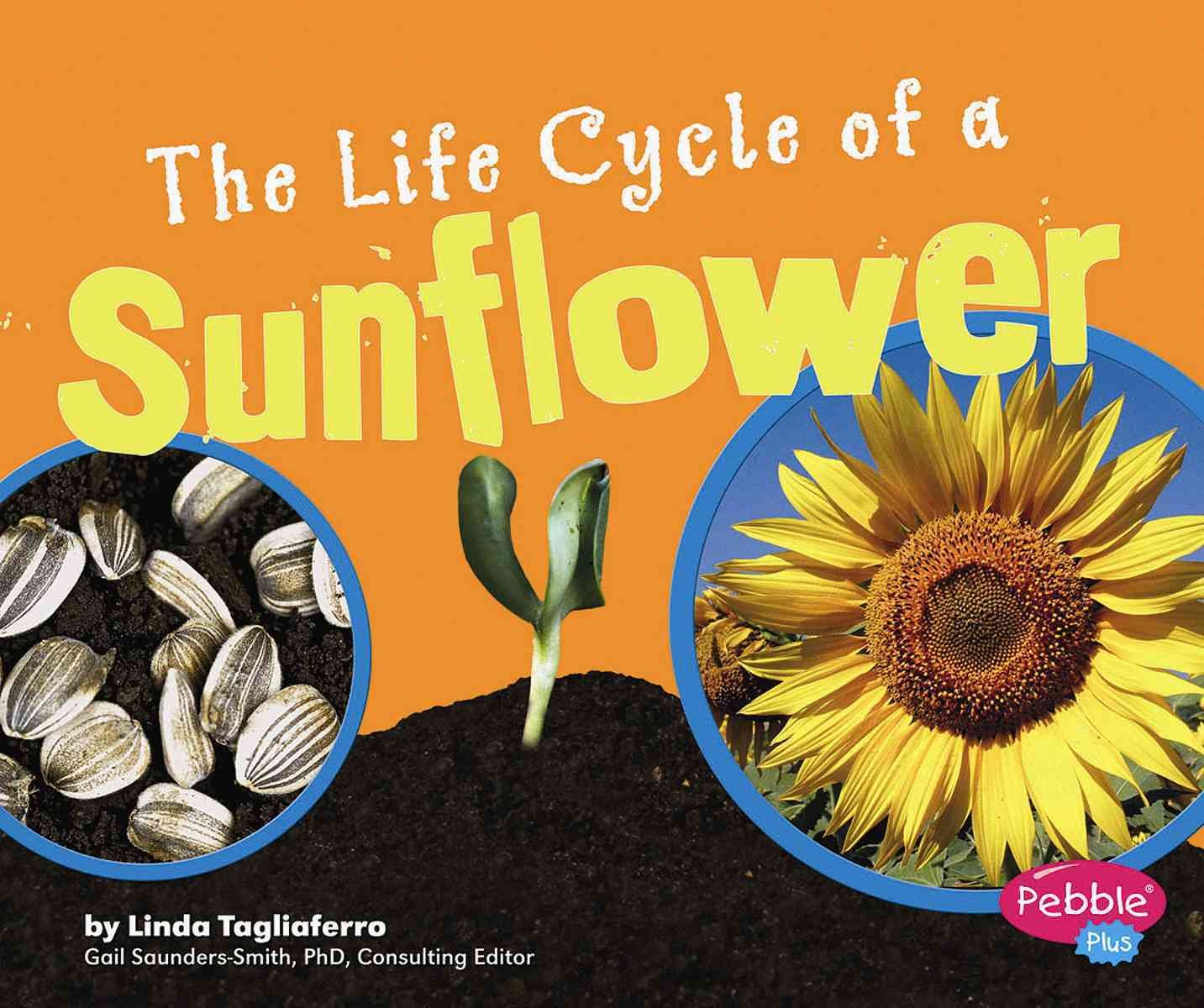 The Life Cycle of a Sunflower (Pebble Plus): Tagliaferro, Linda ...