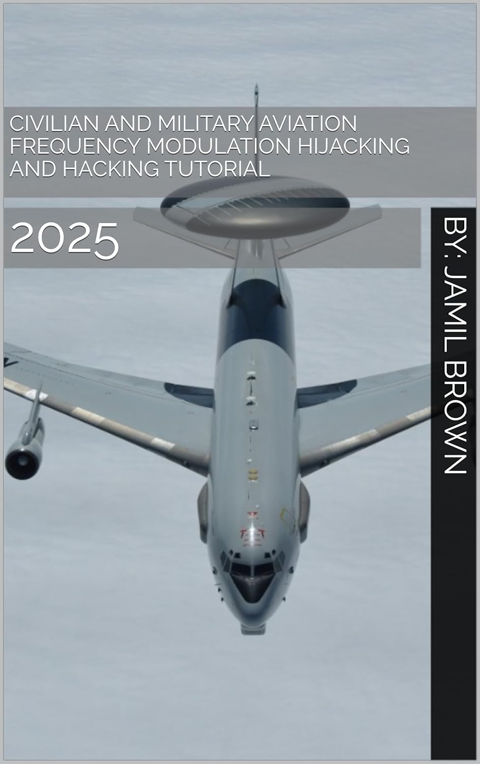 Civilian and Military Aviation Frequency Modulation Hijacking and ...