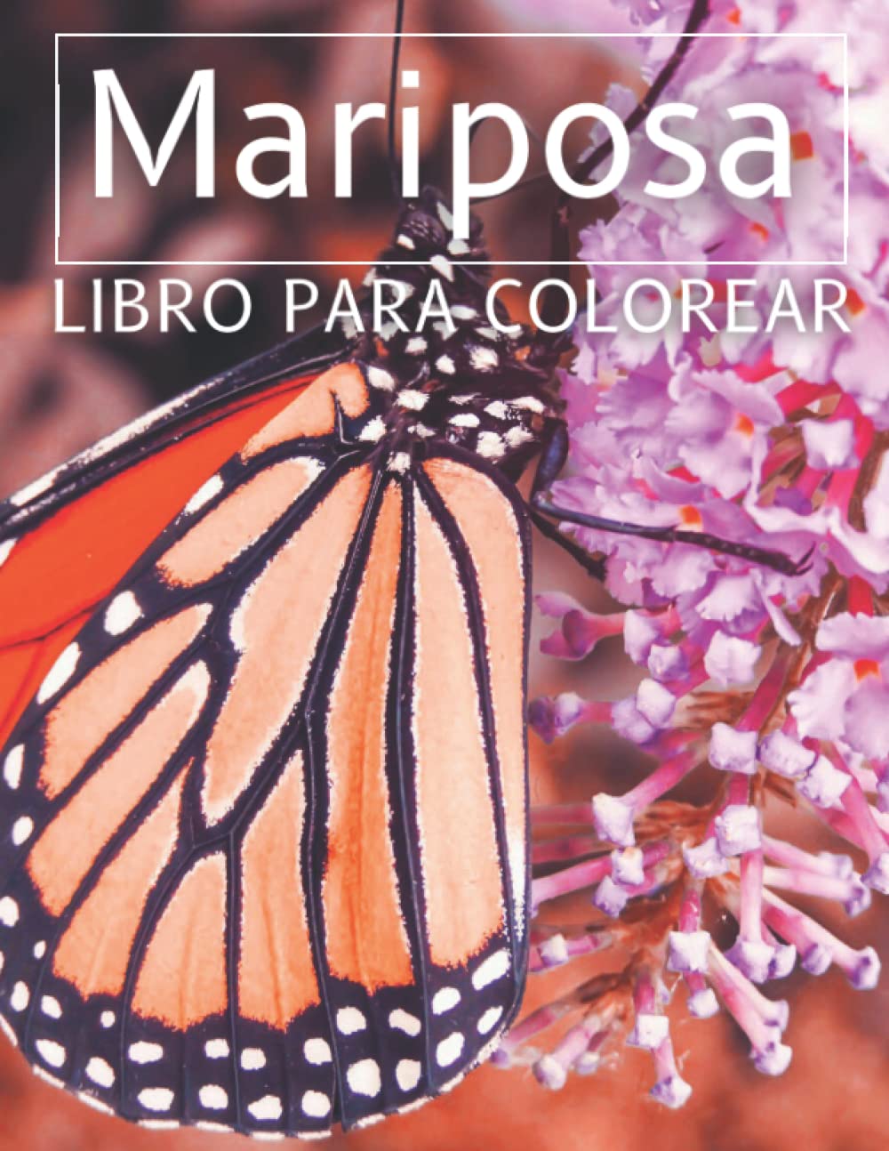 Mariposa Libro Para Colorear Hermoso Libro De Colorear De Mariposas ...