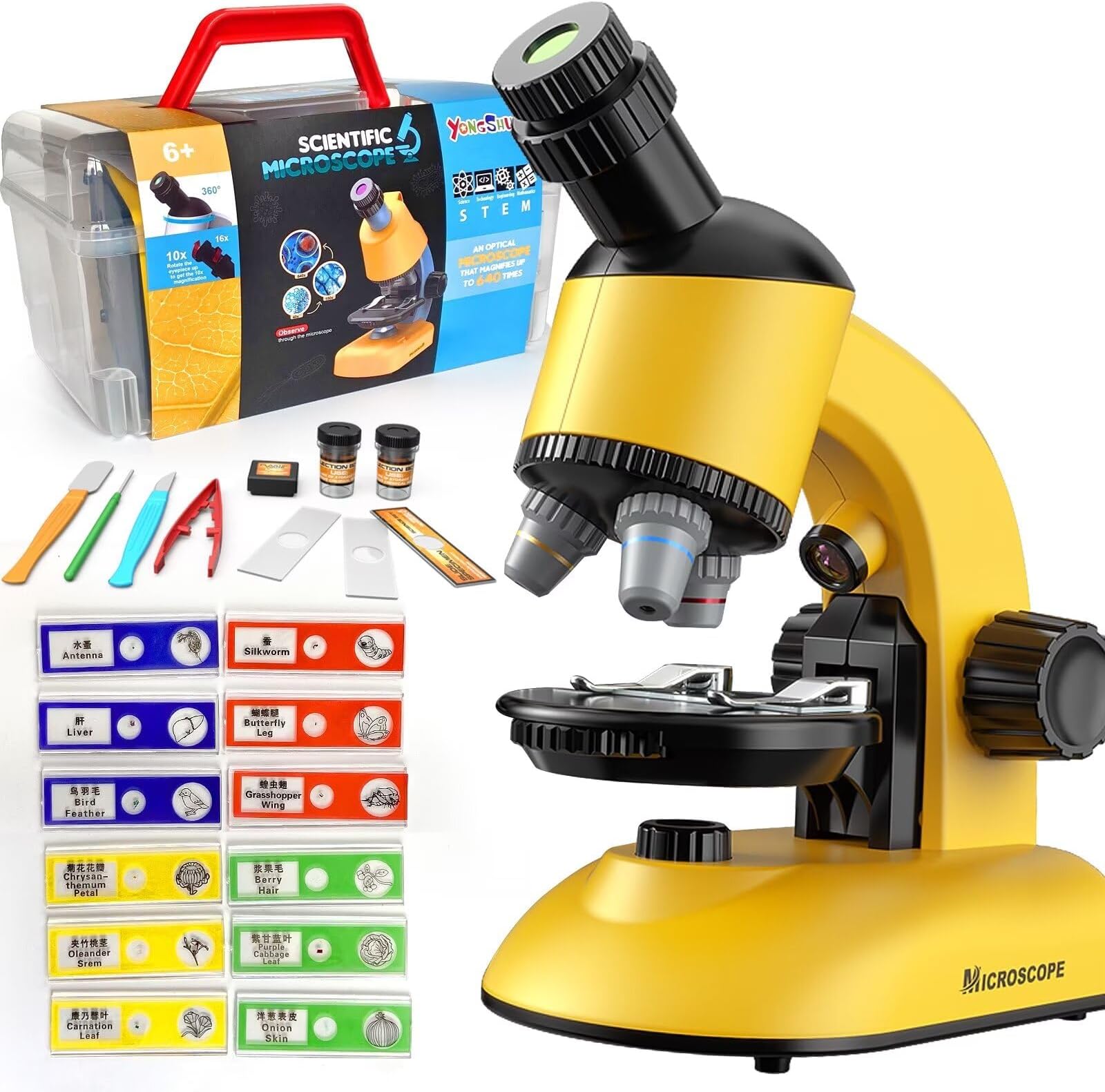 Amazon.com: Microscope for Kids, Microscope Kit LED 40X-1200X ...