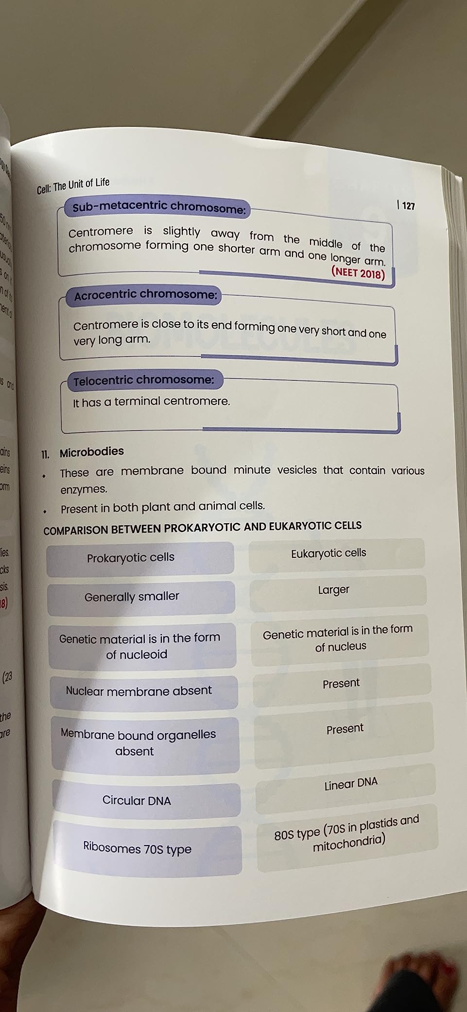 Buy Biology Handbook Class XI and XII - Combined Book Online at Low ...