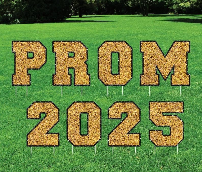 Amazon.com: Prom 2025 Graduation Yard Sign Letters, Prom Graduation ...
