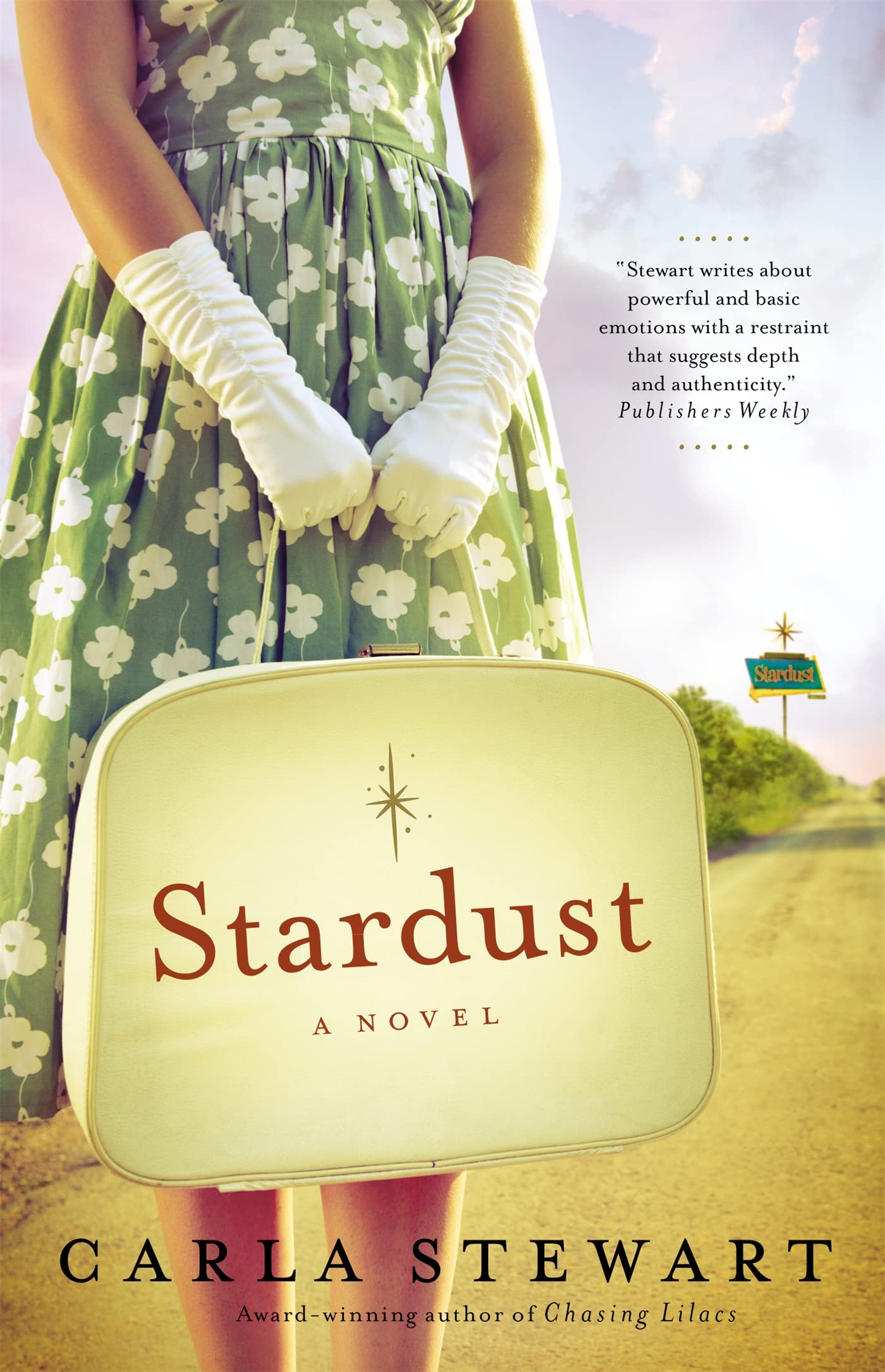 Stardust: A Novel: Stewart, Carla: 9781455504282: Amazon.com: Books