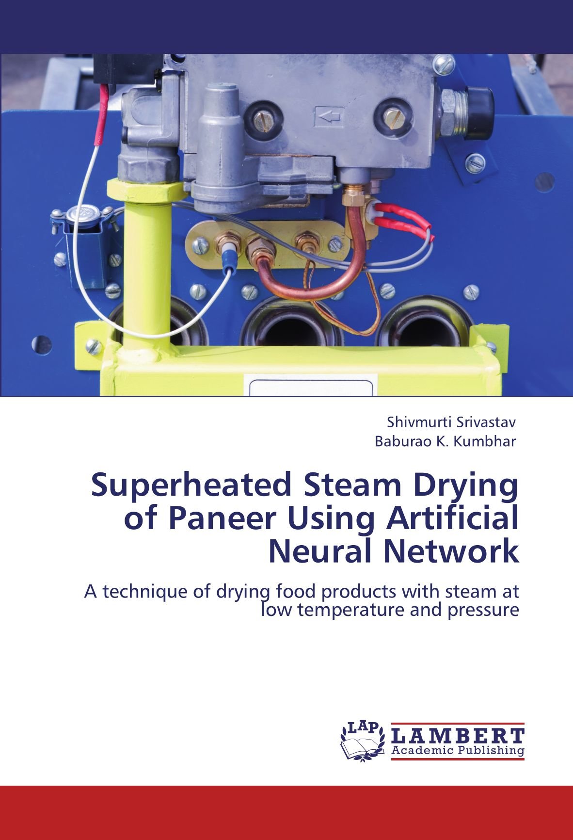 Buy Superheated Steam Drying of Paneer Using Artificial Neural Network ...