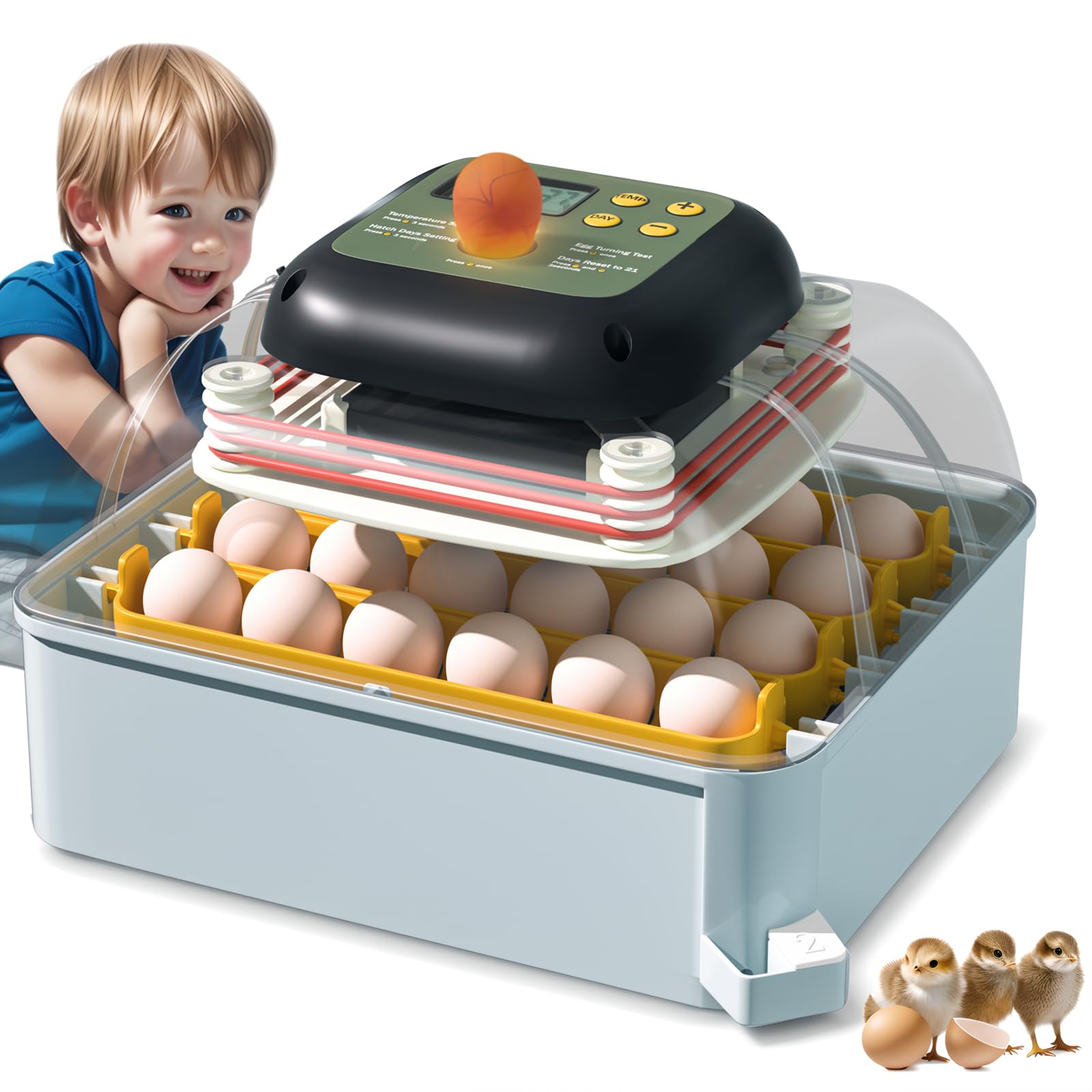 Amazon.com: Kufika Incubators for Hatching Eggs - 24 Eggs Incubator ...