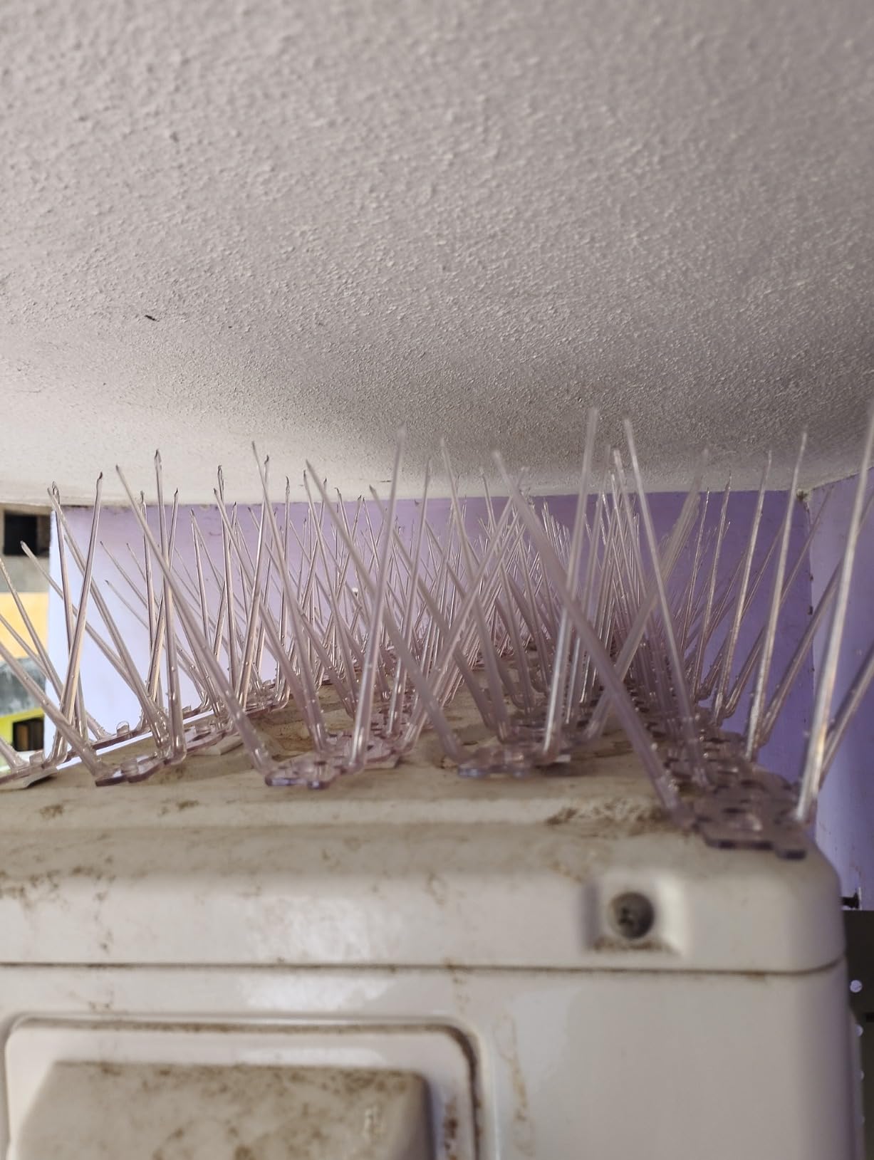 SpikeZone - Bird Spikes - Pigeon Control Spikes (Bird Spikes 10 Pcs ...