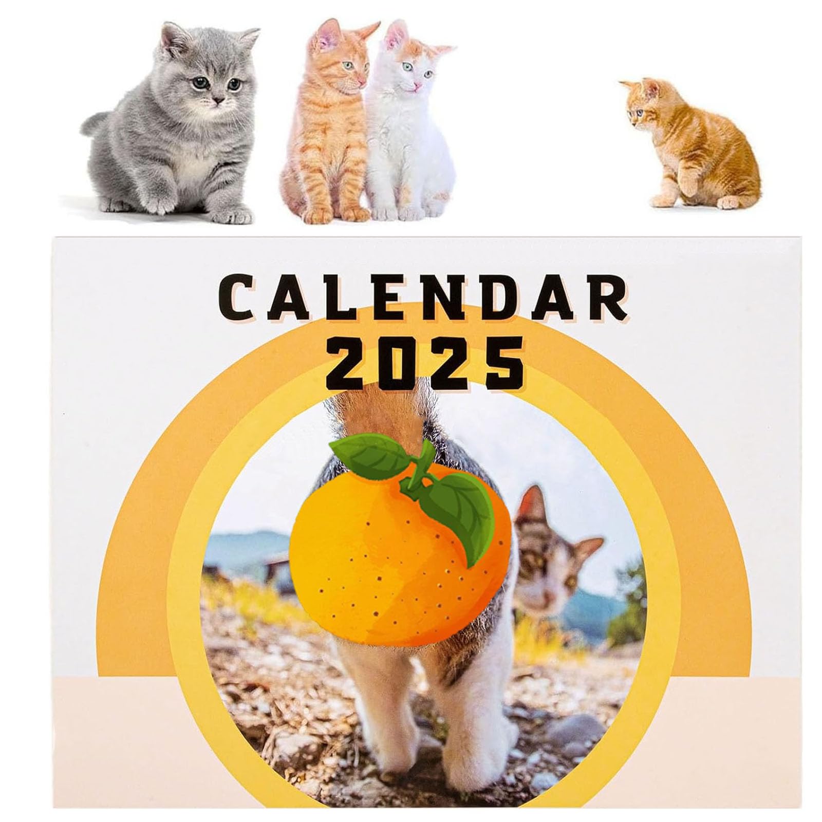 Funny Calendar 2025 Uk, Cats Calendar 2025, Funny Cat Calendar 2025 ...