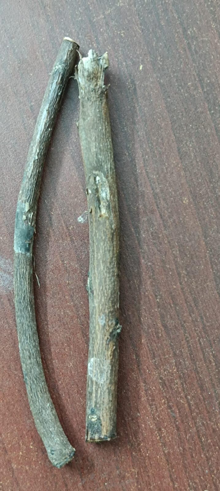 Natural Neem Chew Sticks/Tree Datun Twigs Organic Manual Toothbrush for ...