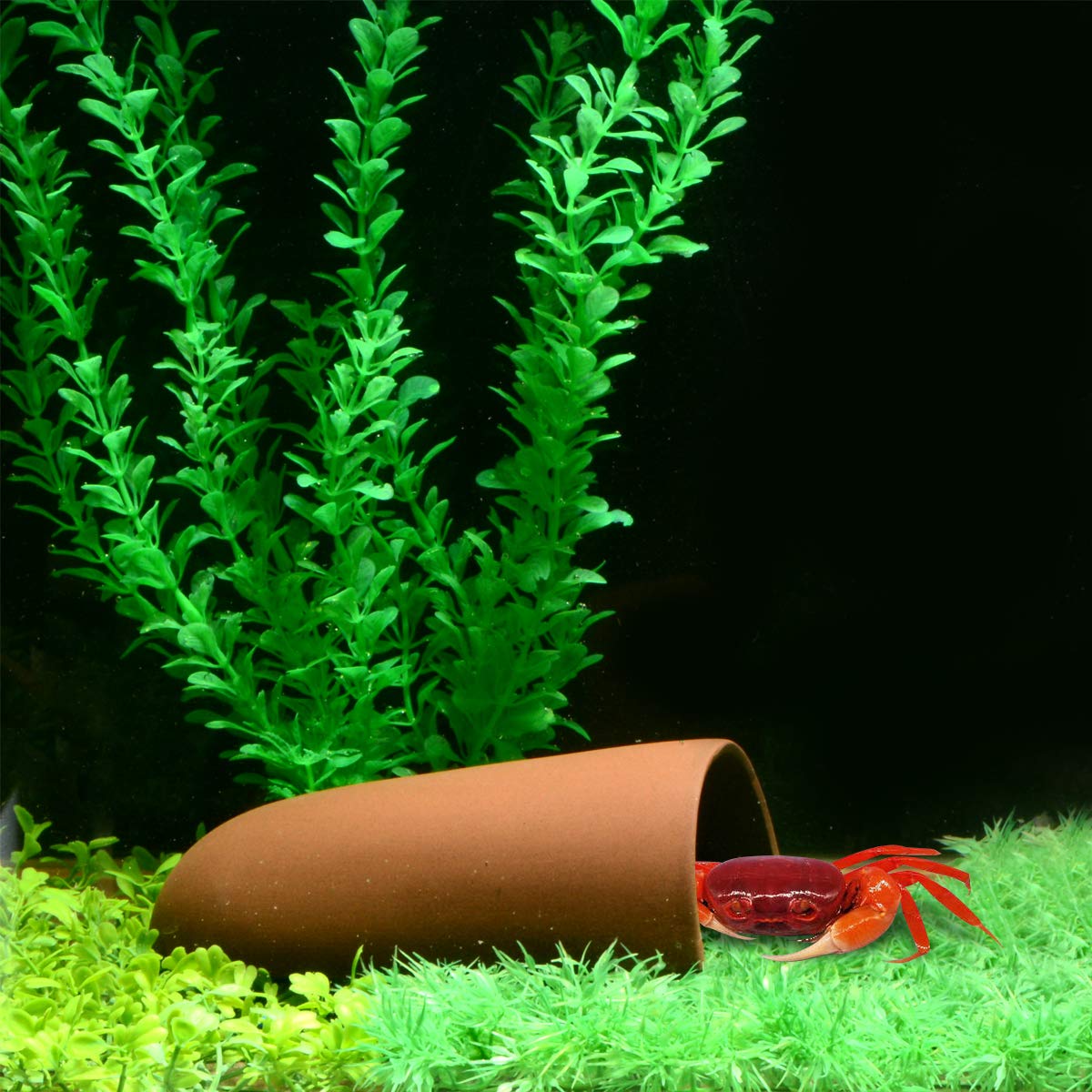 Snapklik.com : Ceramic Shrimp Shelter Fish Tank Ornament Spawning Fish ...