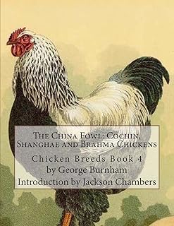 Who Played Chicken George In The Movie Roots? Revealed | CyChicken