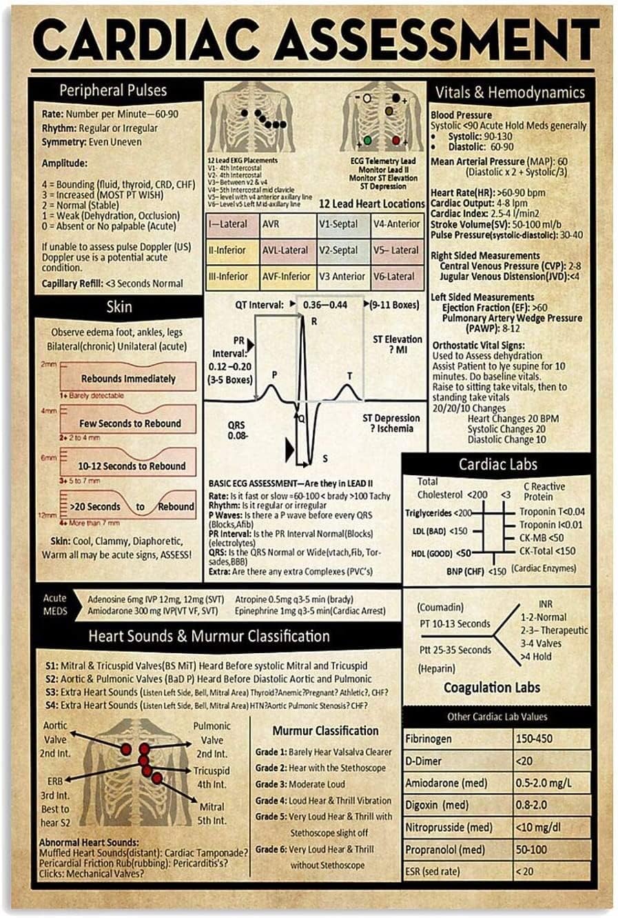 Amazon.com: Maikeway Cardiac Assessment Overview Metal Signs ...