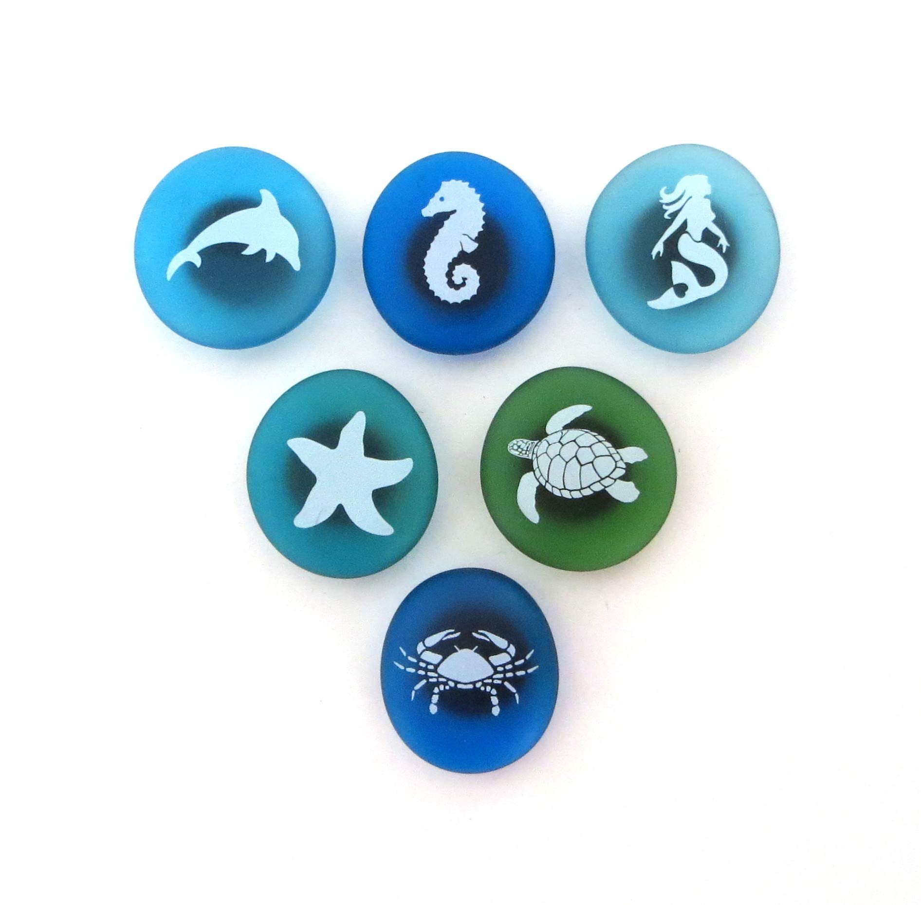 Amazon.com: The Mermaid's Message Sea Life Magnets: Frosted Sea Glass ...
