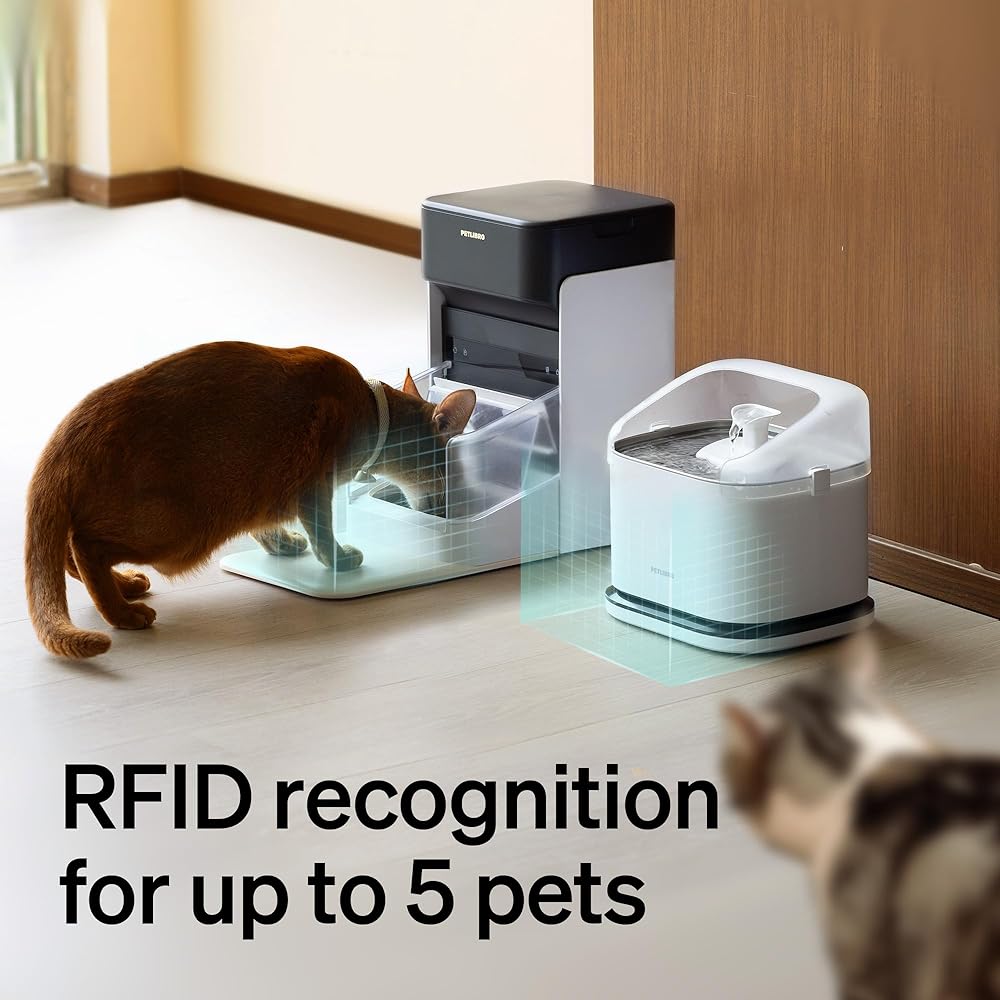 Bundle of PETLIBRO RFID Smart App Cat Water Fountain Botswana | Ubuy