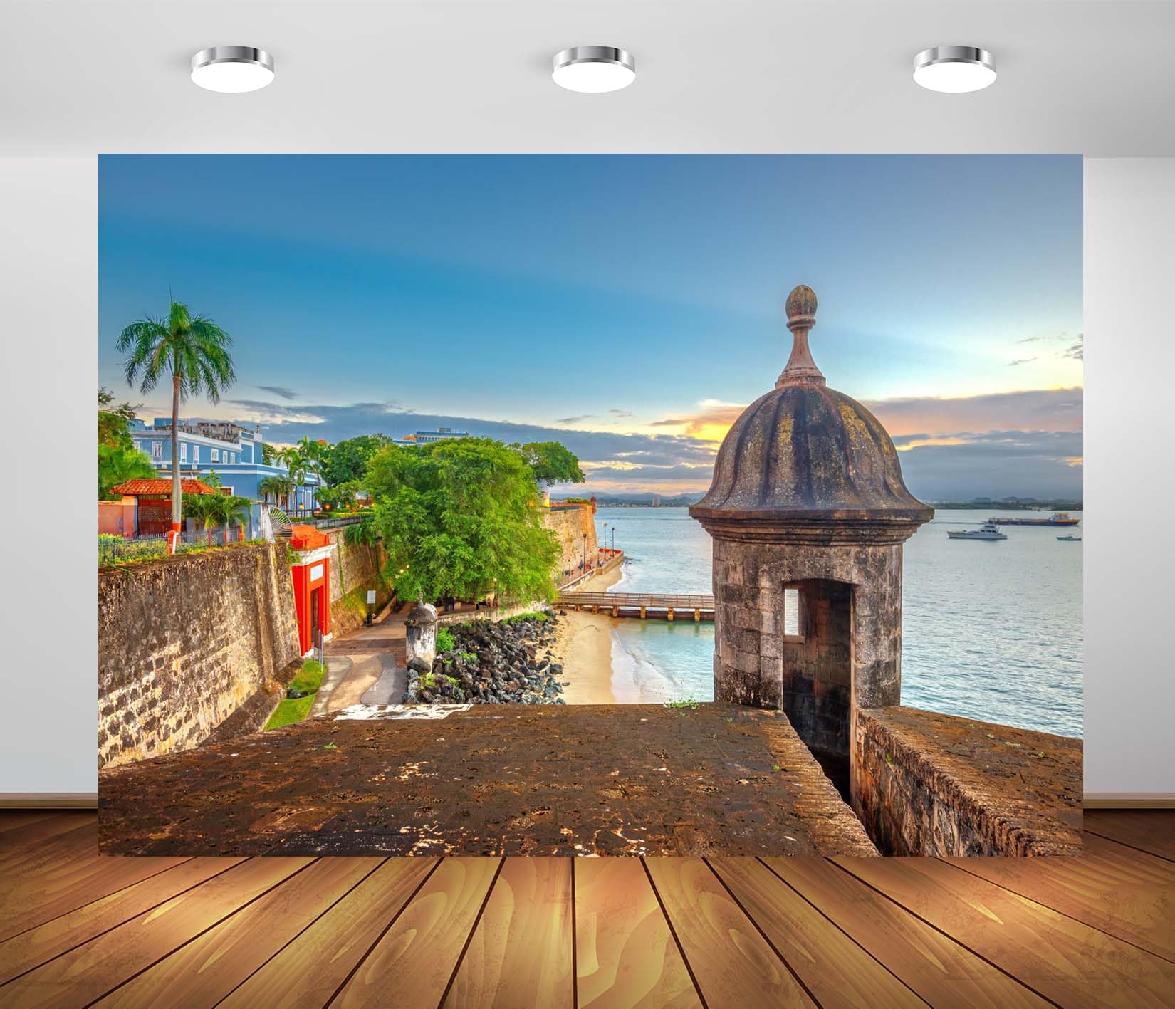 Amazon.com : BELECO 8x6ft Fabric Puerto Rico Backdrop San Juan, Puerto ...