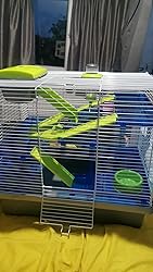 Rosewood PICO Hamster Home, Extra Large, Translucent Teal : Amazon.co ...