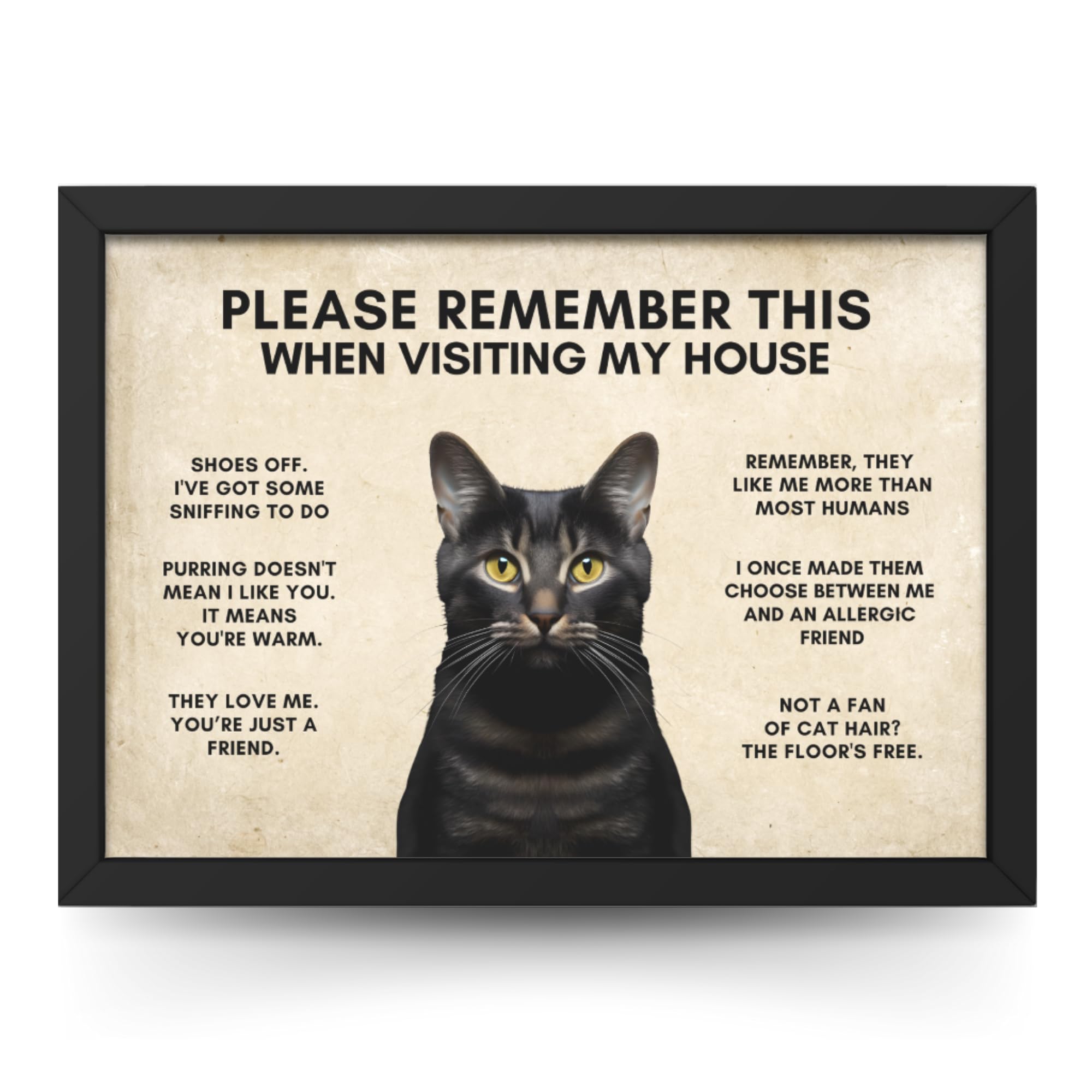 State Media Vision Funny Cat House Rules Wall Print - Cat Lover’s ...