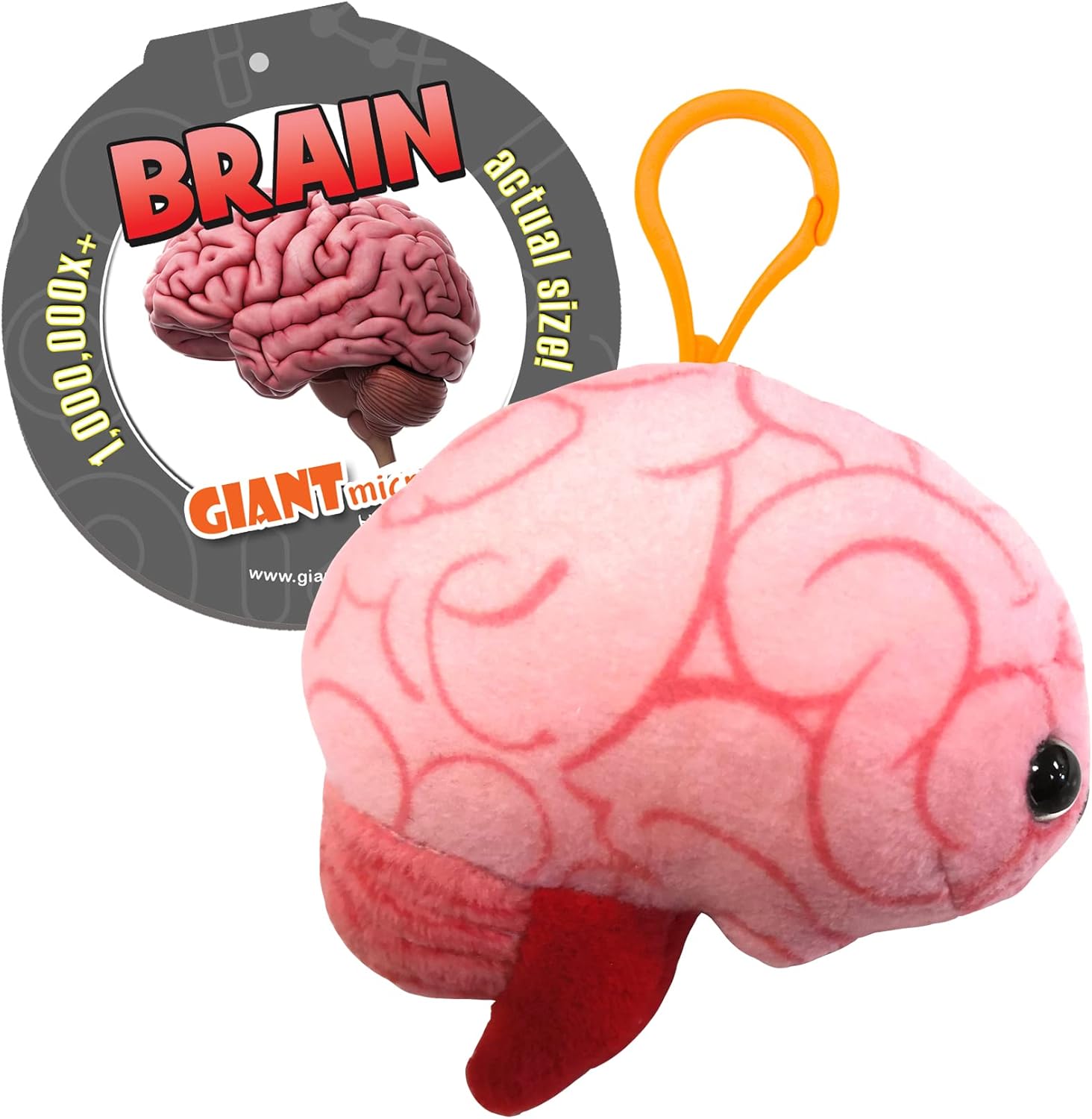 Amazon.com: GIANT MICROBES Brain Plush Keychain, Gift for Med Student ...