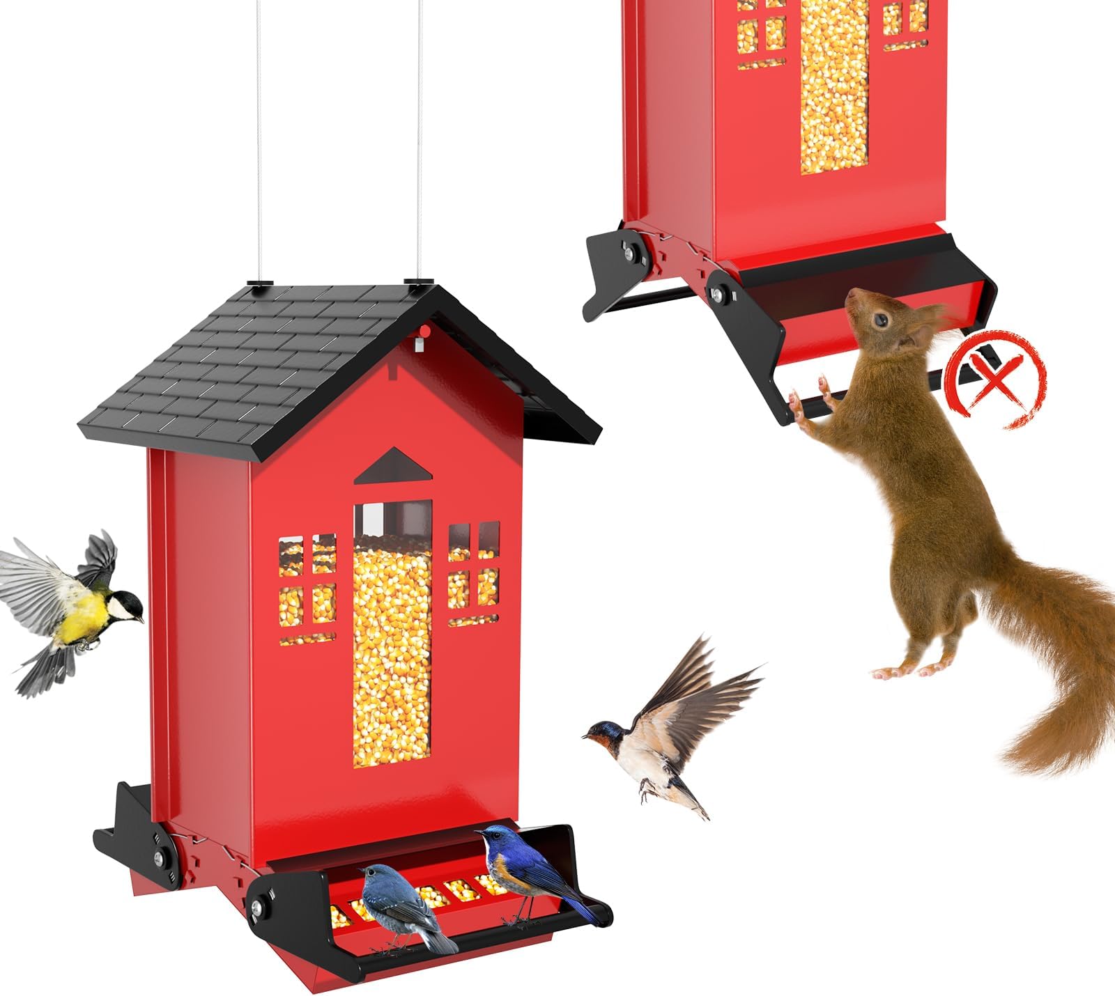 Amazon.com : Wildpark Squirrel Proof Bird Feeder for Outdoors Hanging ...