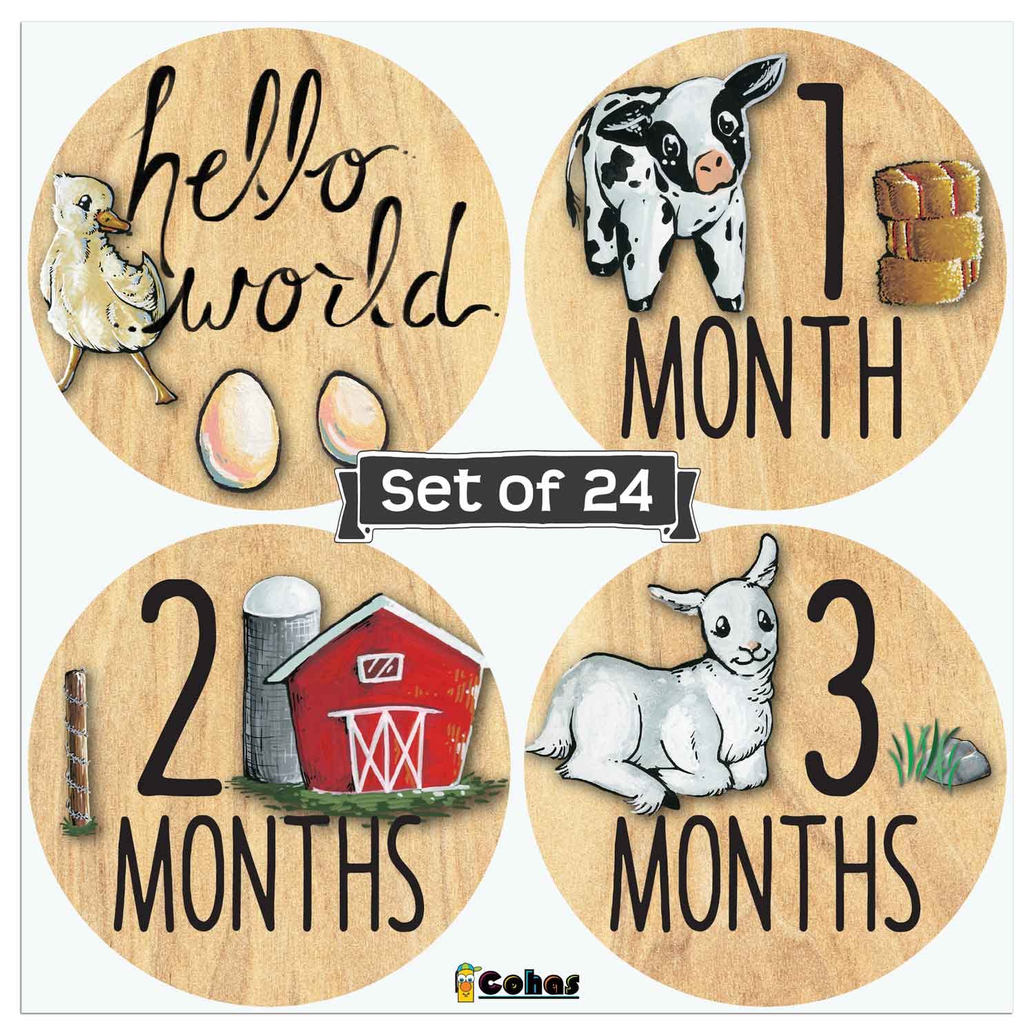 Birth Animals For Each Month