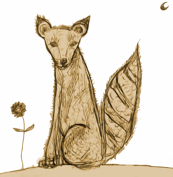 Amazon.com: Tamia Sheldon: books, biography, latest update