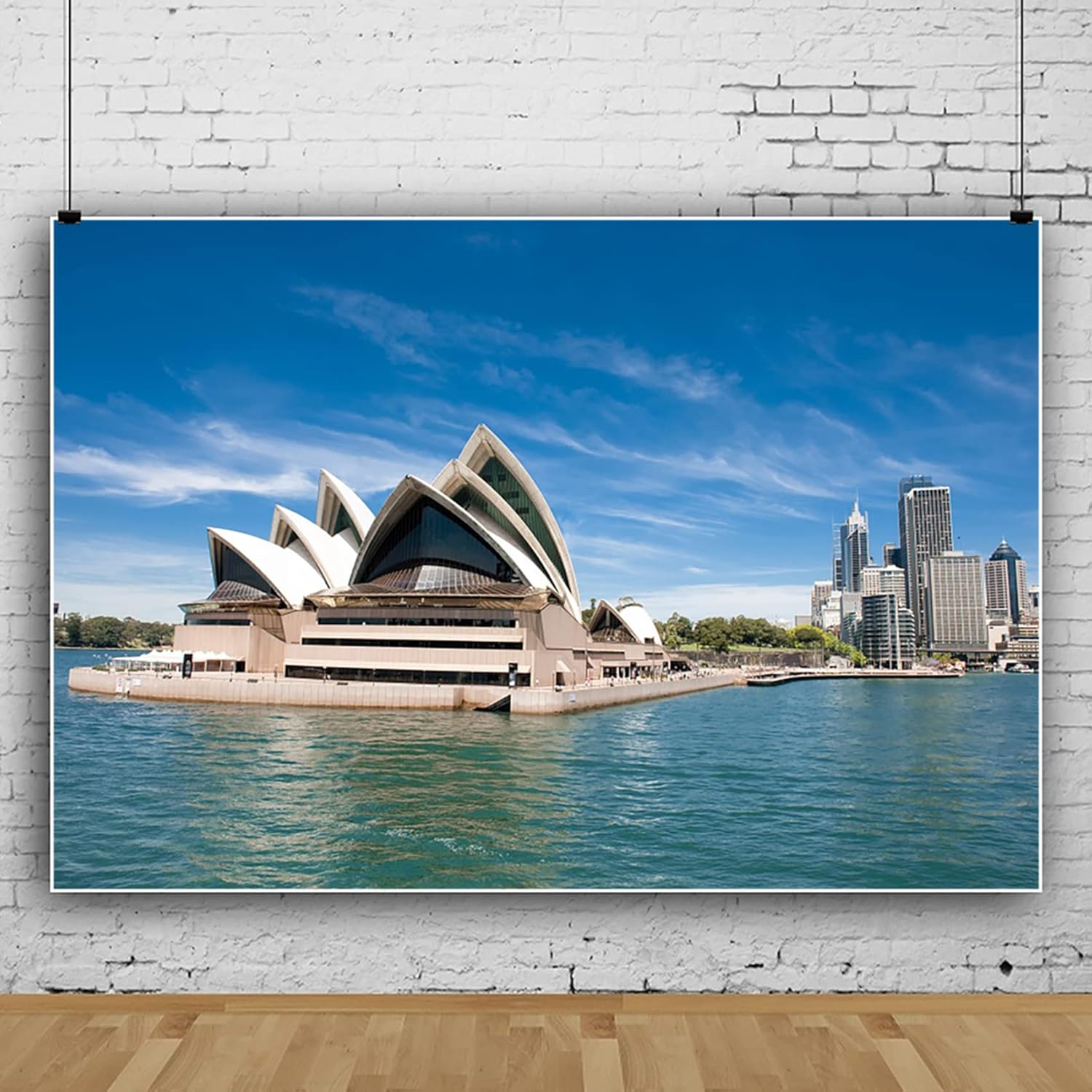 Amazon.com : Eainb 5x3ft Sydney Backdrops for Photography Sydney Opera ...