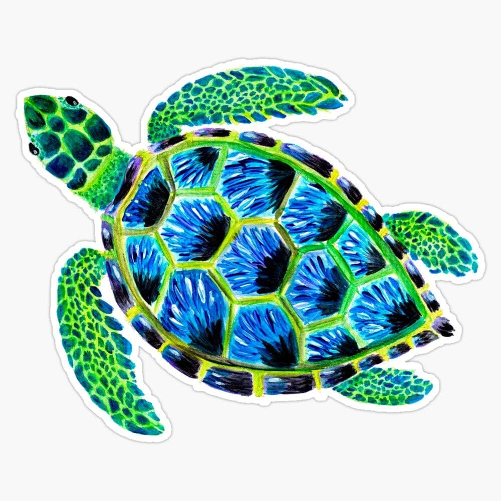Amazon.com - Sea Turtle Sticker Vinyl Bumper Sticker Decal Waterproof 5"