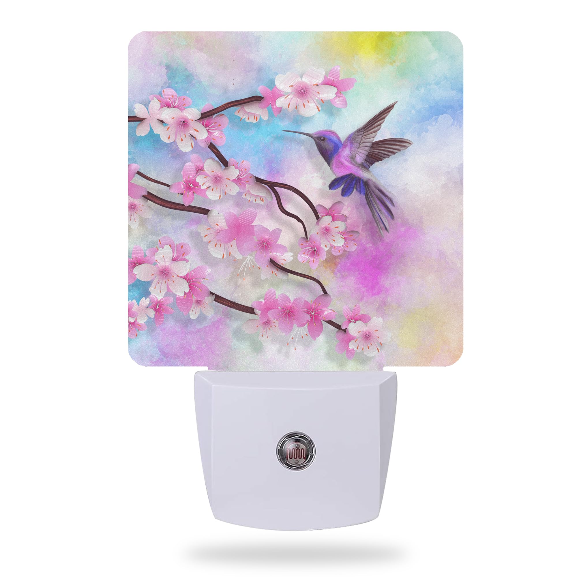 AOWULA Cherry Blossoms Night Light,Humming Bird Night Lights Plug into ...