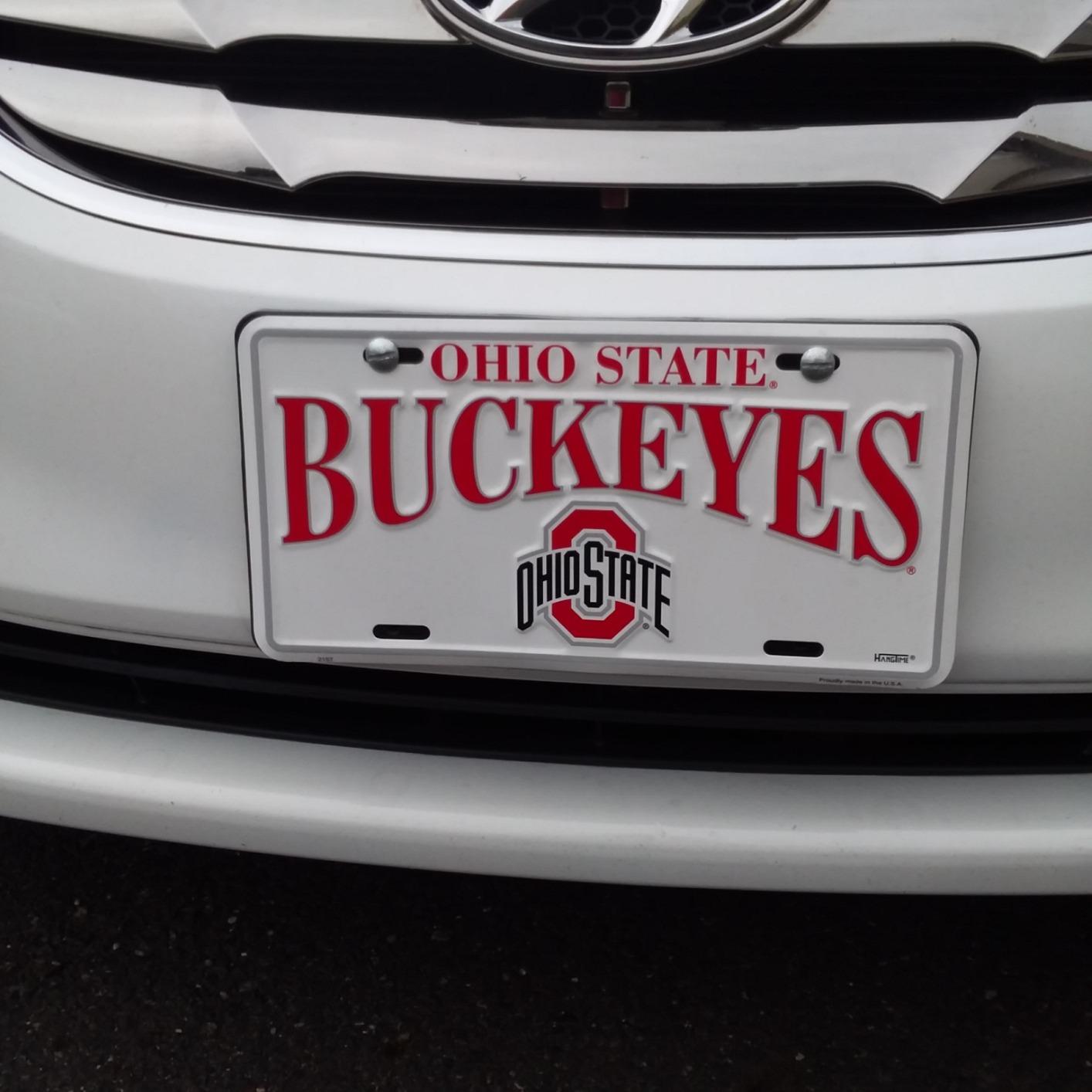 Amazon.com : Hangtime Ohio State Buckeyes White Metal License Plate ...