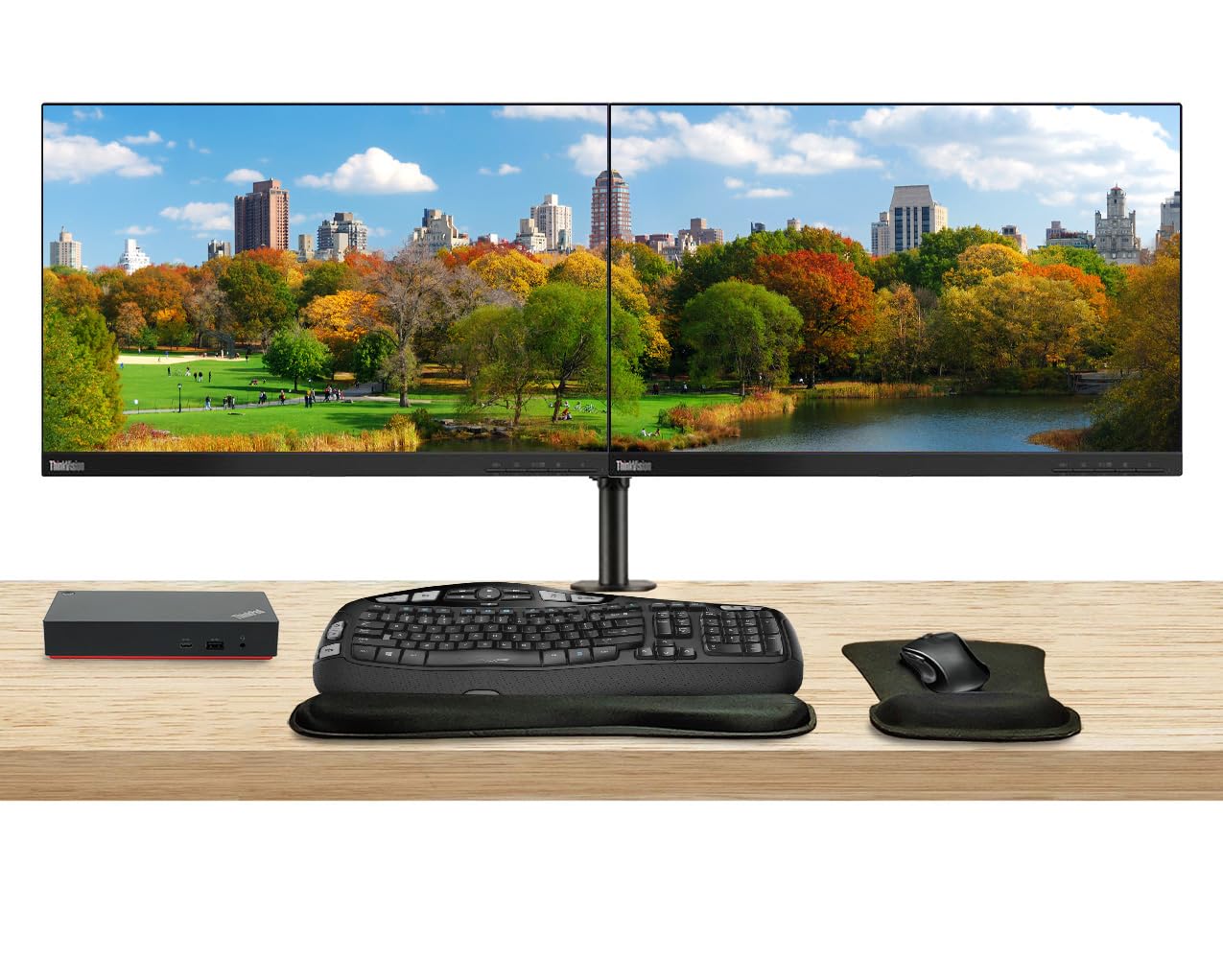 Amazon.com: Lenovo ThinkVision T23d 1920 x 1200 LED FHD LCD, 2-Pack ...