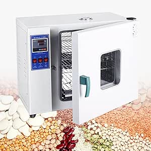 Amazon.com: Lab Digital Forced Air Convection Drying Oven, Constant Temperature Electrothermal ...